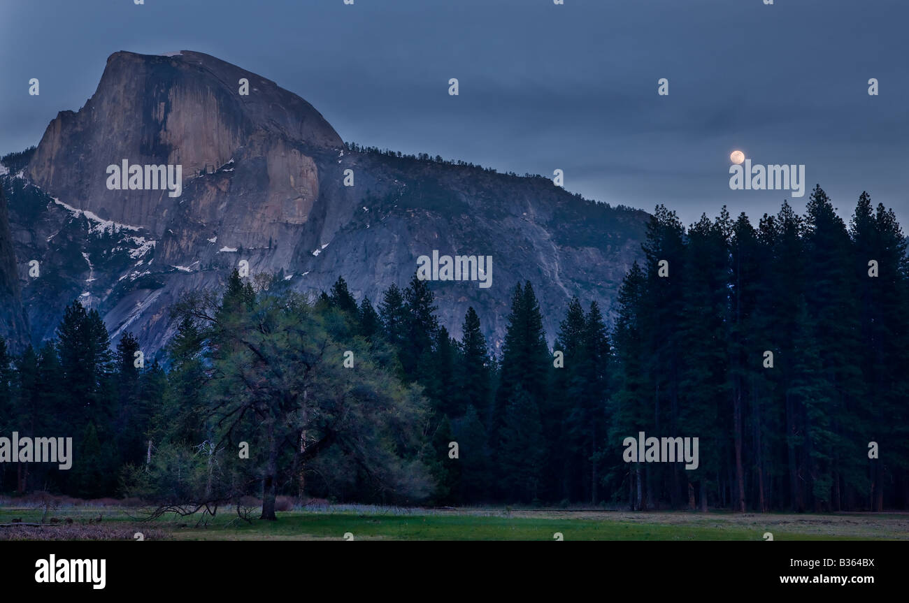 Full moon dusk pine hi-res stock photography and images - Alamy