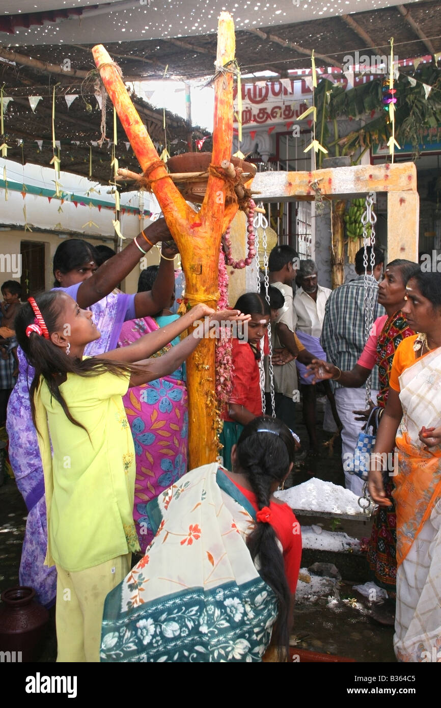 Hindu women pray and offer pooja to a tree in a Kali temple , Tamil ...