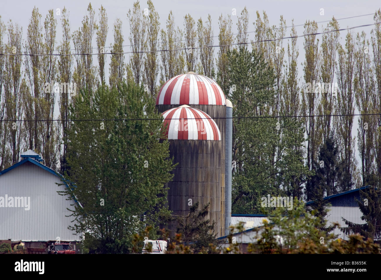 Cylindrical silo hi-res stock photography and images - Alamy