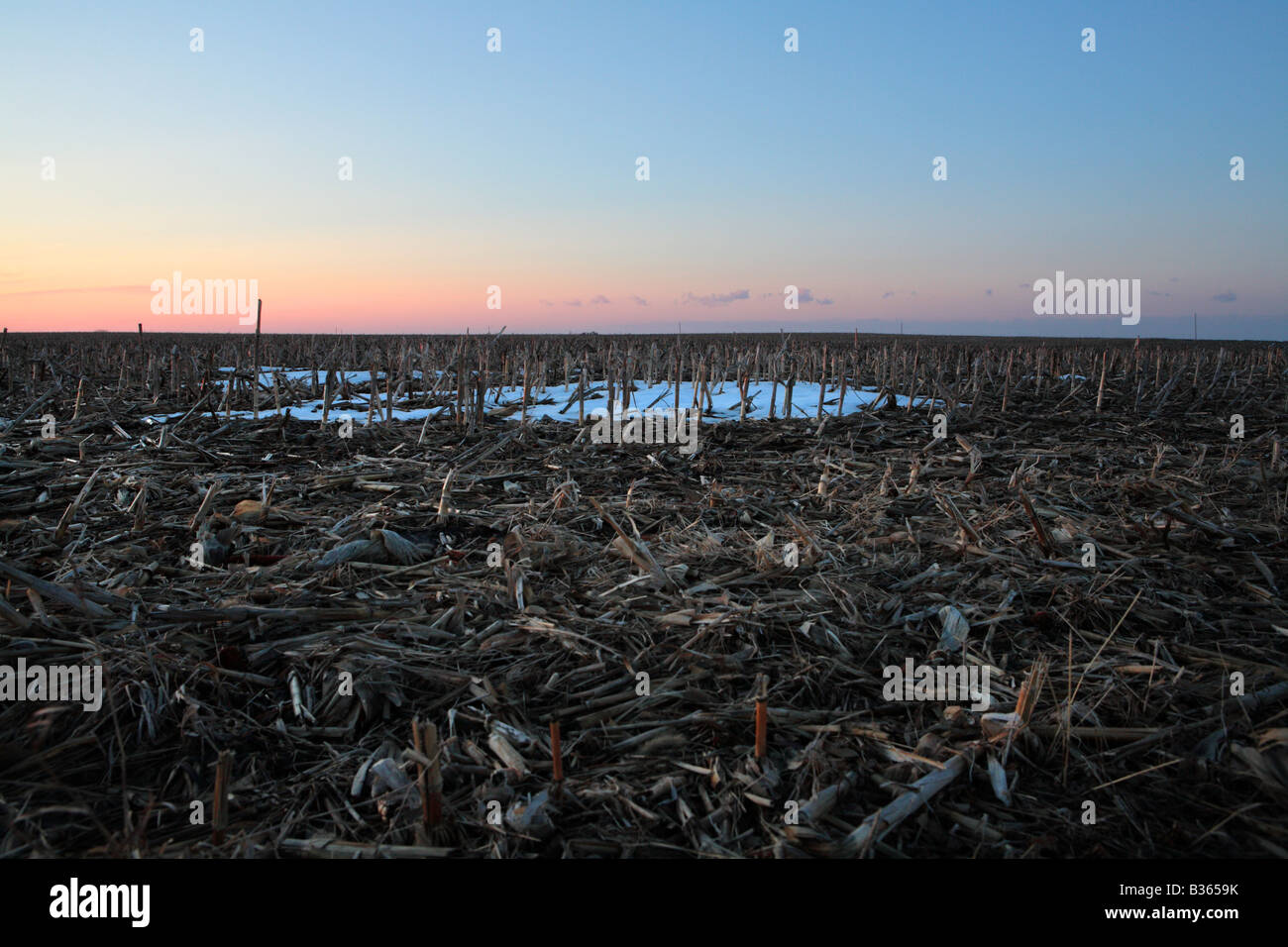 Cornfield illinois hi-res stock photography and images - Alamy