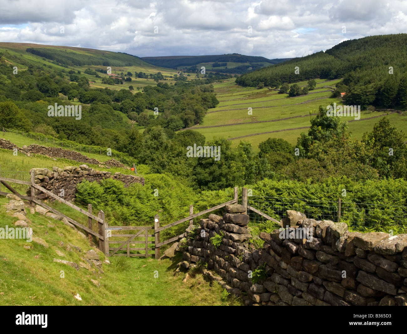 North york moors hi-res stock photography and images - Alamy