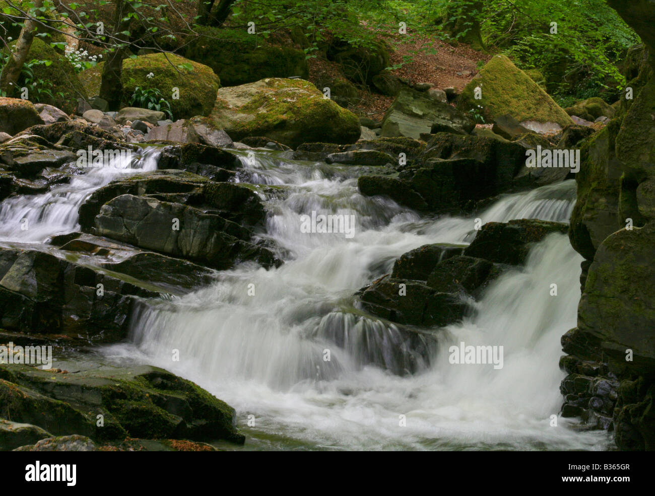Moness burn walk hi-res stock photography and images - Alamy
