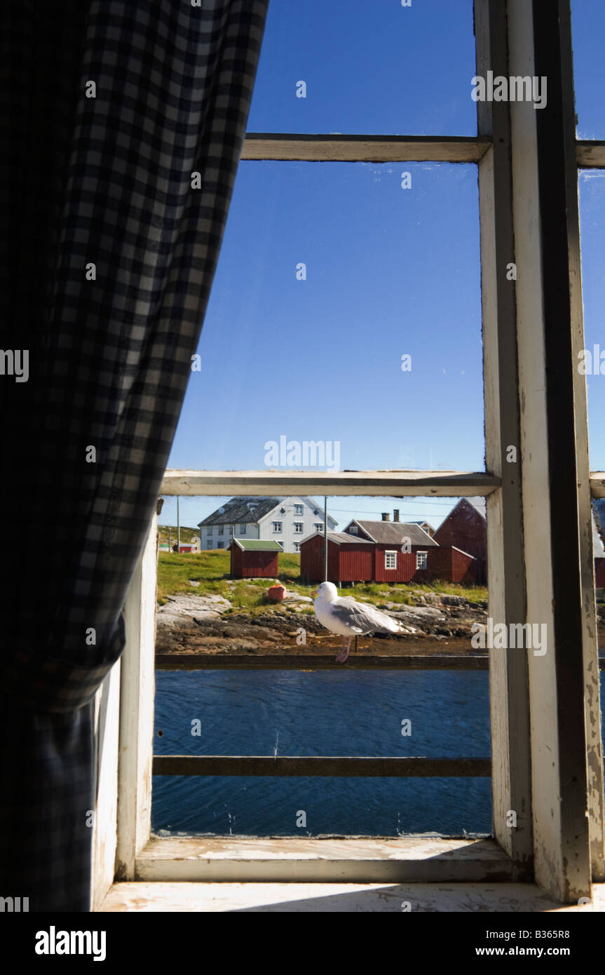 Seagull through the window. Sørgjæslingan in Vikna, Norway Stock Photo ...