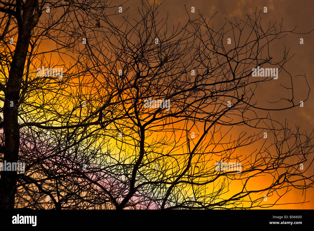 Heavy mist from the base of Bridalveil Falls is illuminated by late ...