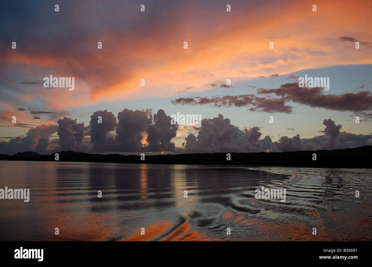 Mosquito bay, vieques bioluminescent High Resolution Stock Photography ...