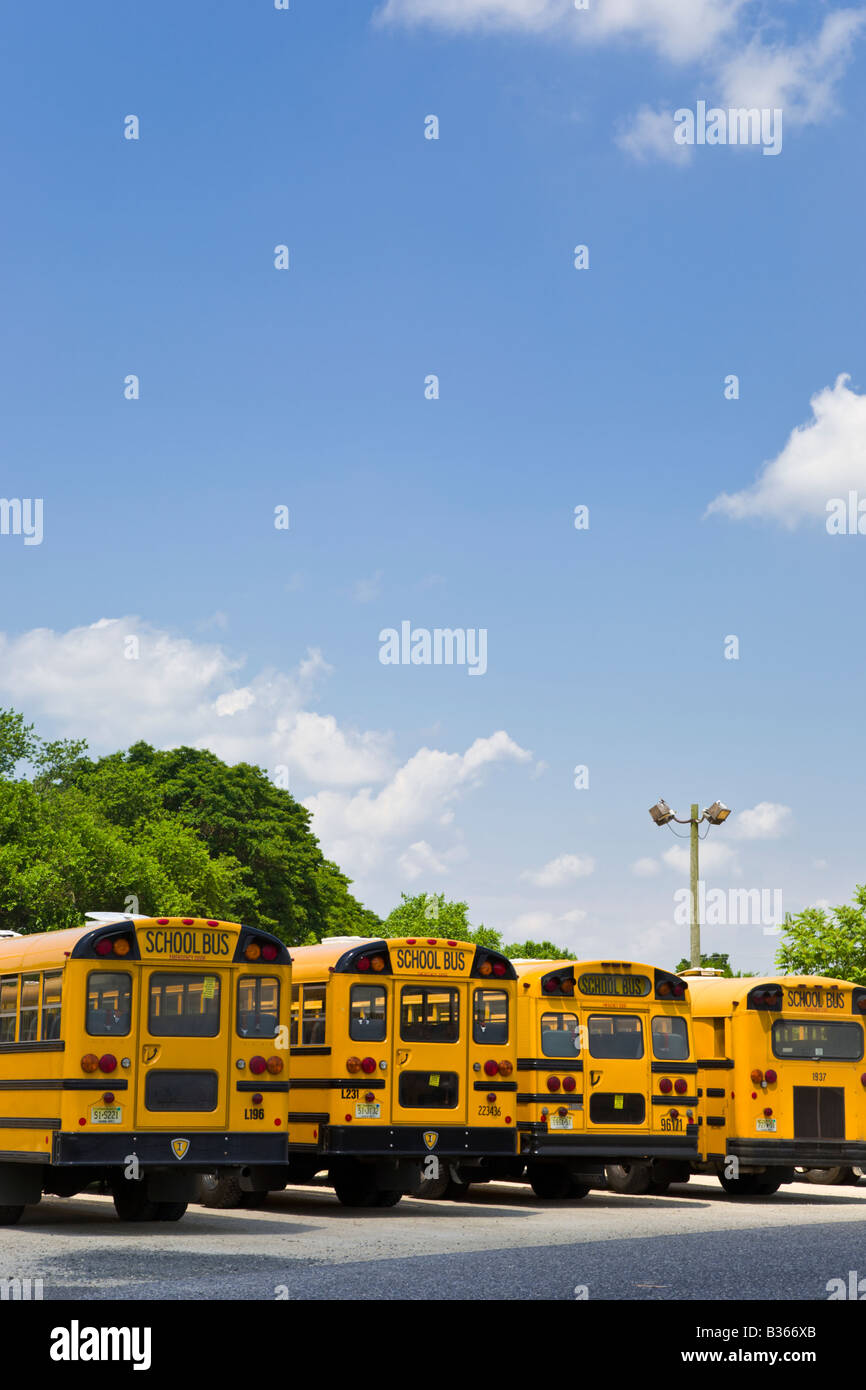Row of school buses in a parking lot Stock Photo - Alamy