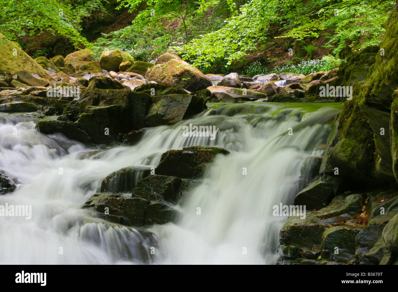 Birks of aberfeldy spring hi-res stock photography and images - Alamy
