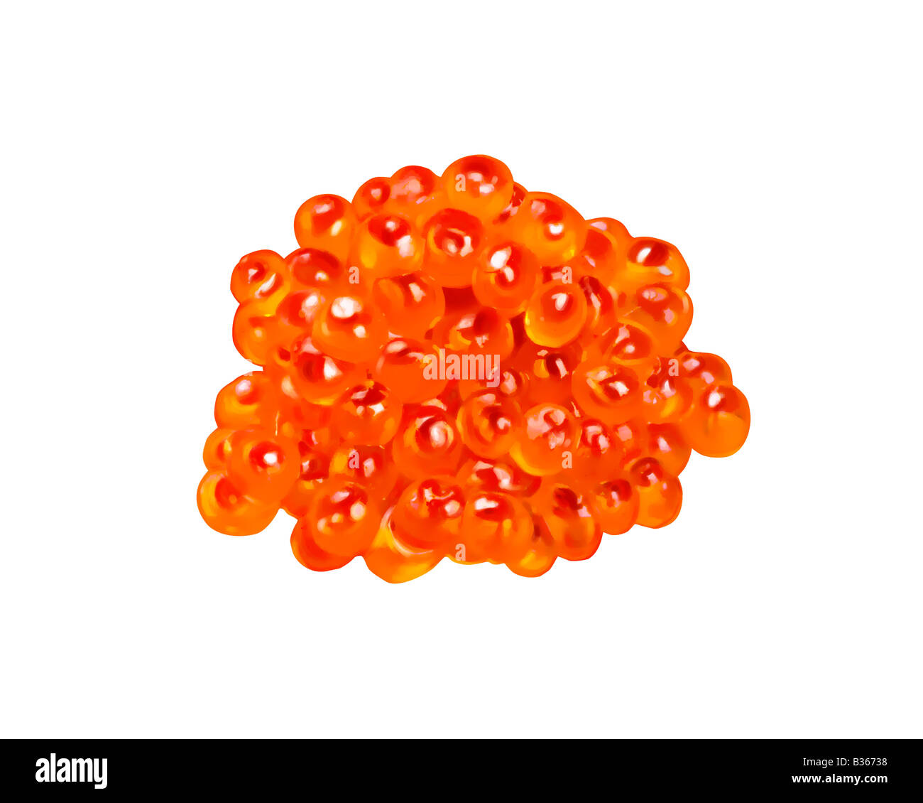 Salmon illustration hi-res stock photography and images - Alamy