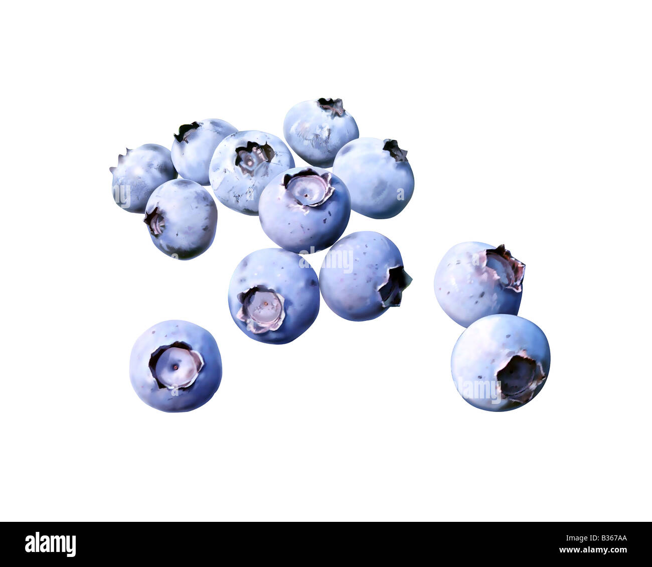 Fruit illustration Cut Out Stock Images & Pictures - Alamy