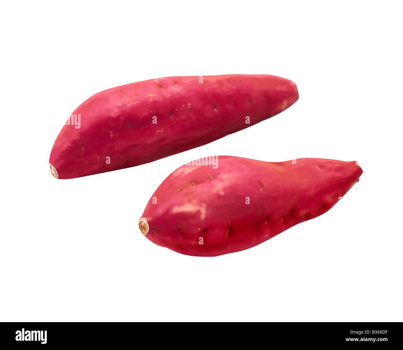 Sweet potato illustration hi-res stock photography and images - Alamy