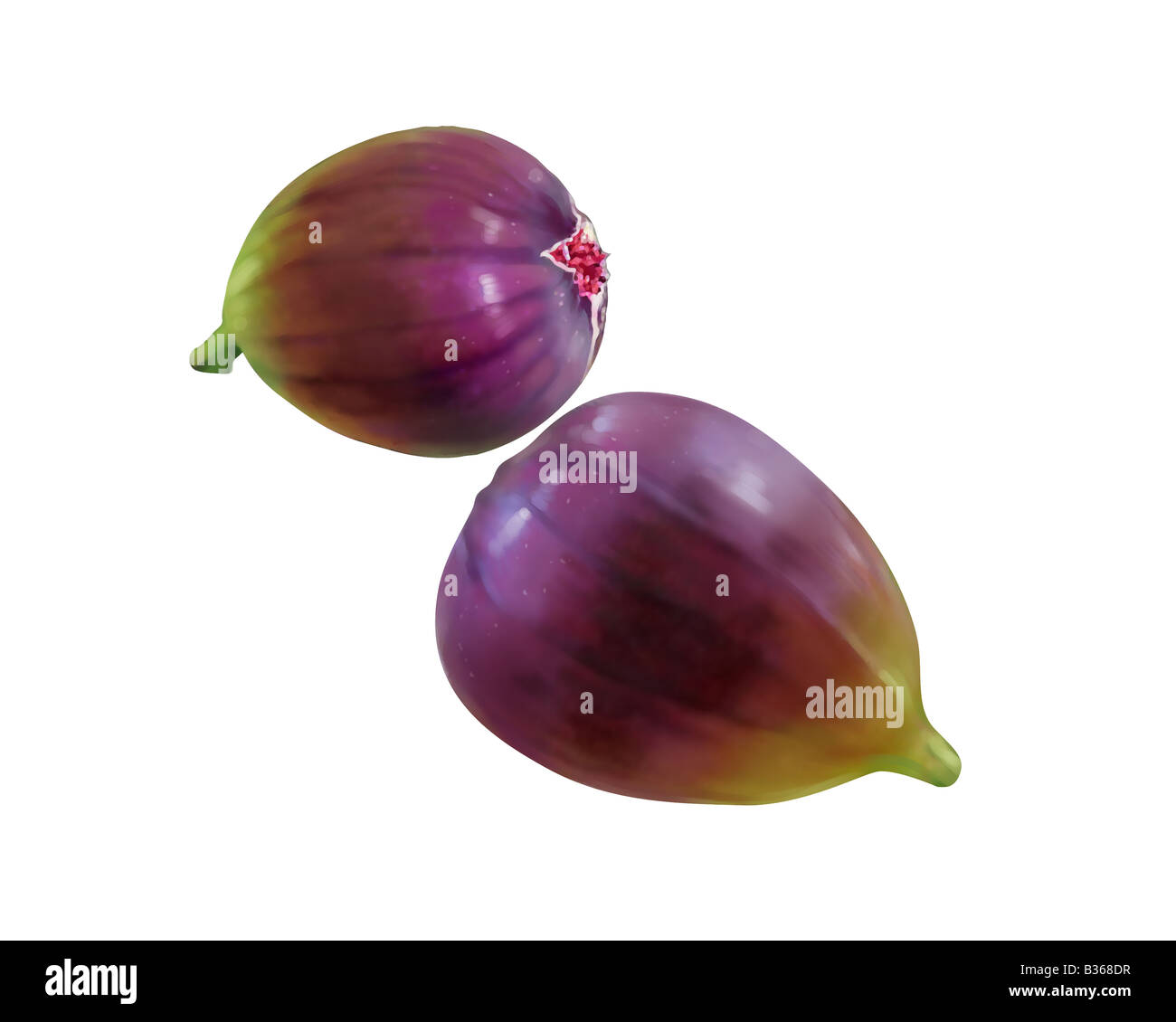 Figs illustration fruit hi-res stock photography and images - Alamy