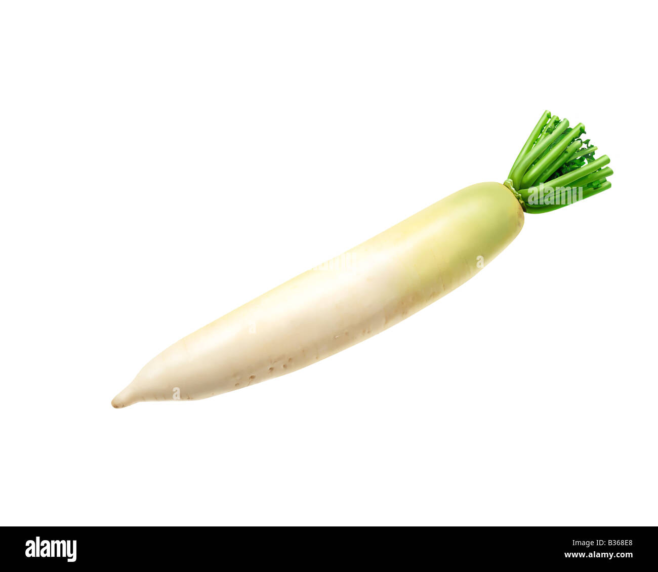 Daikon illustration hi-res stock photography and images - Alamy