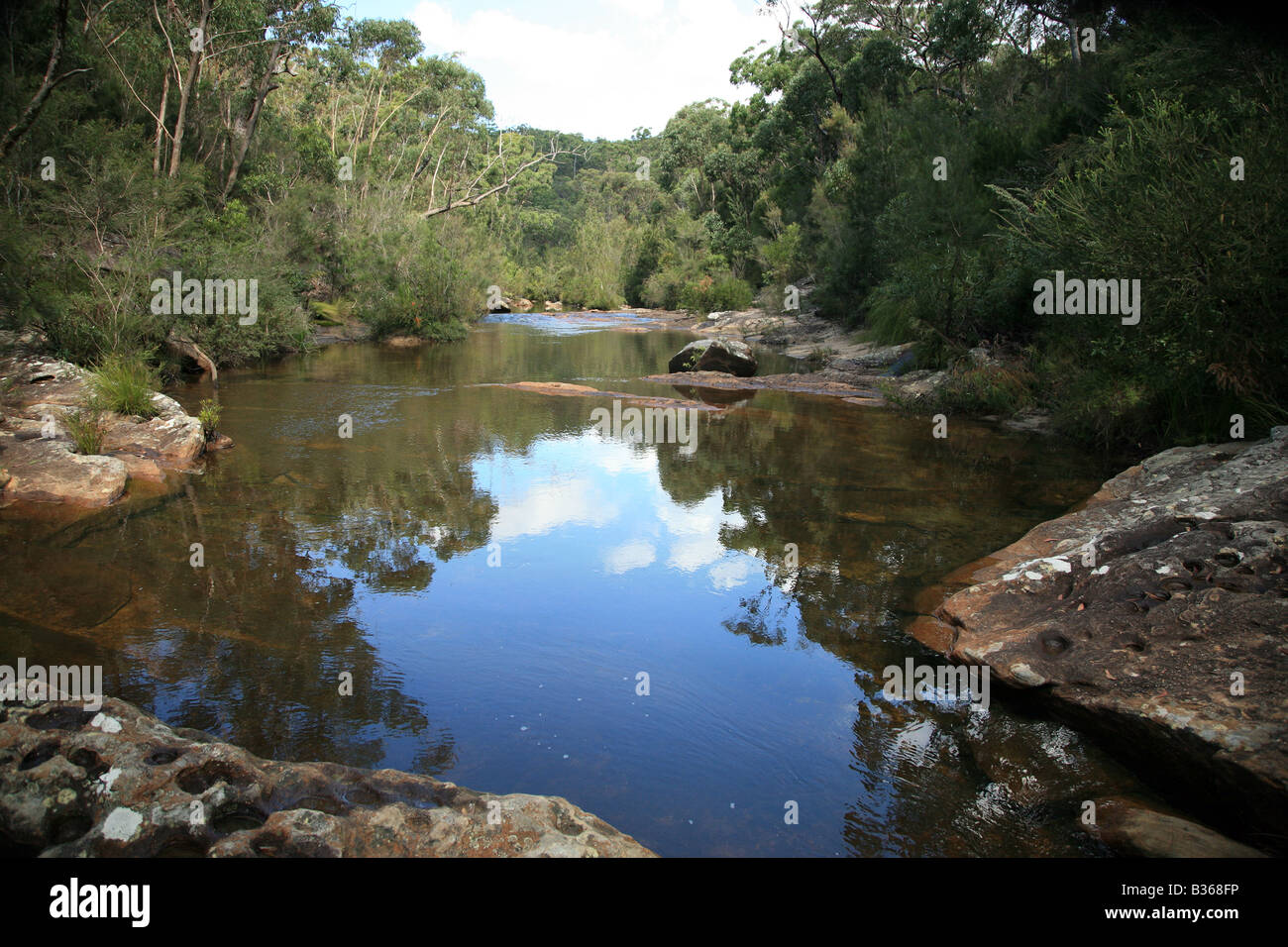 River in bush in AU Stock Photo - Alamy