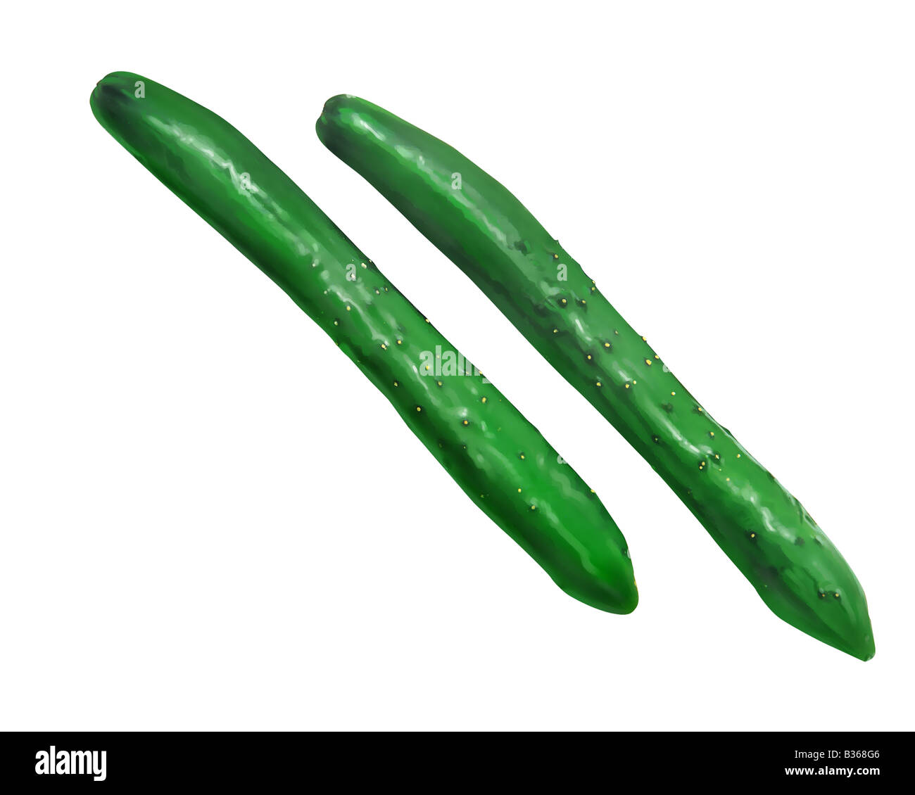 Cucumbers illustration hi-res stock photography and images - Alamy