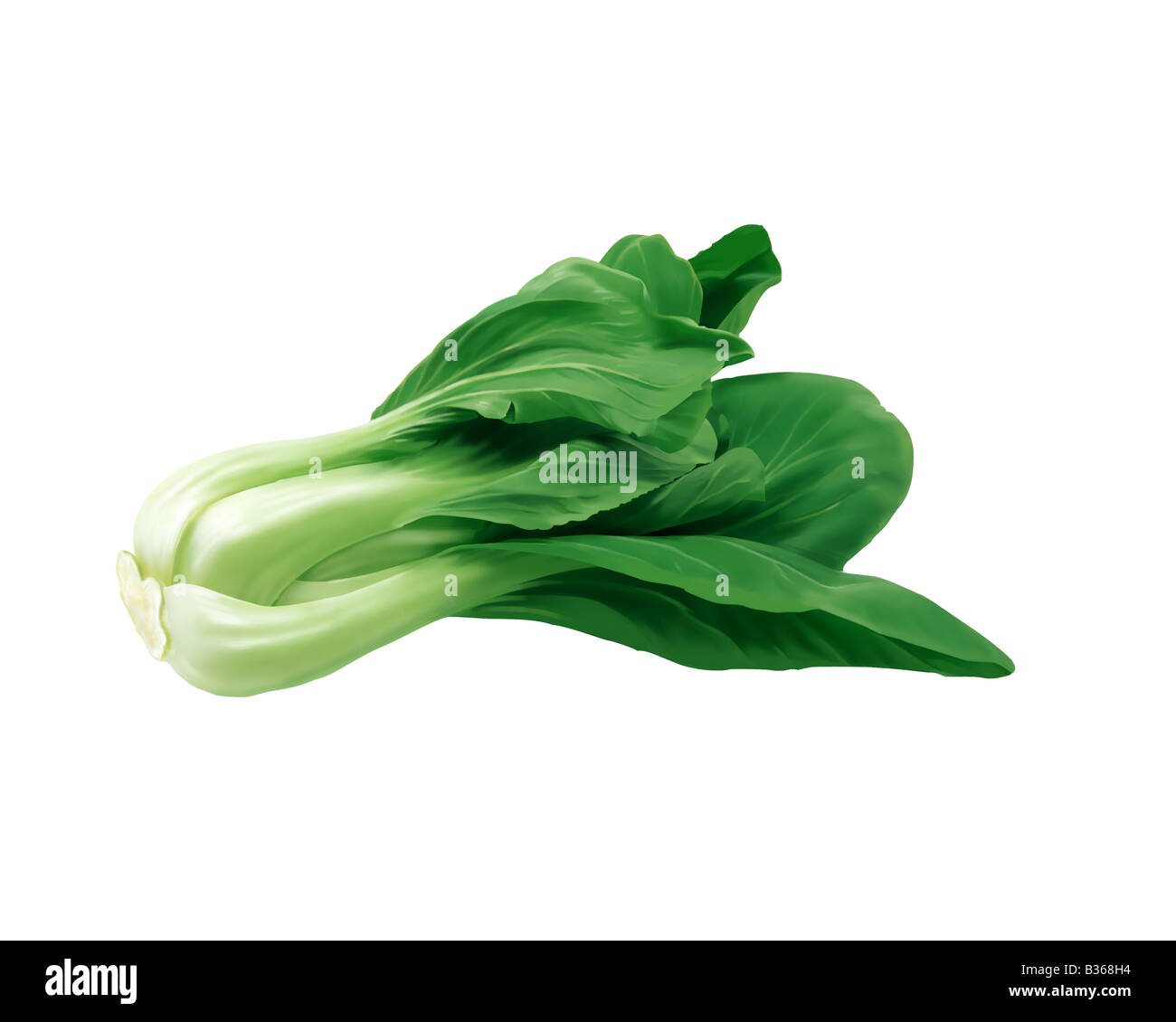 Qing geng cai Stock Photo - Alamy