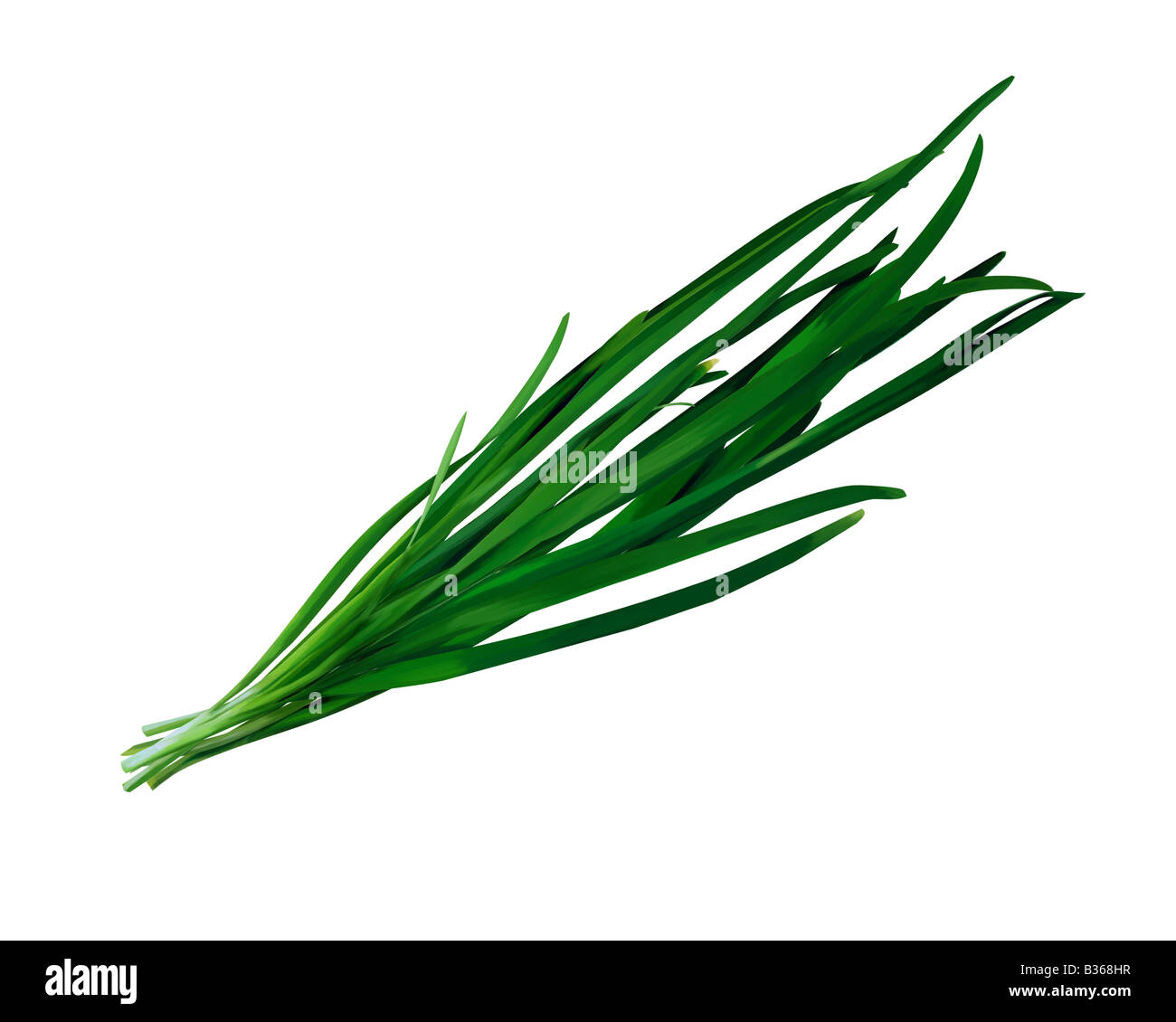 Cut leek people hi-res stock photography and images - Alamy