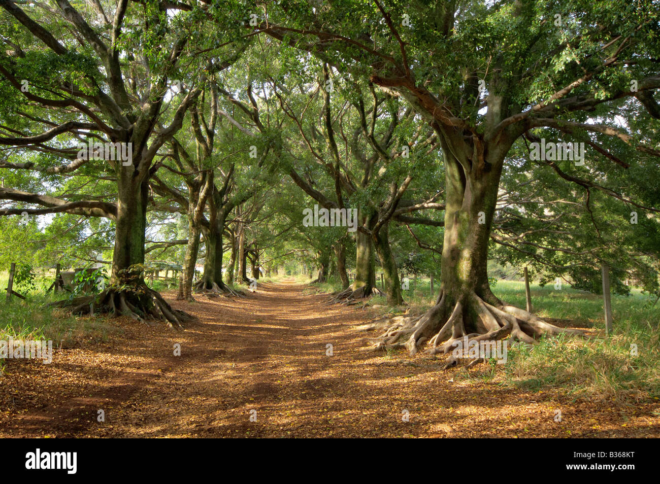 Beautiful calm street in hi-res stock photography and images - Alamy