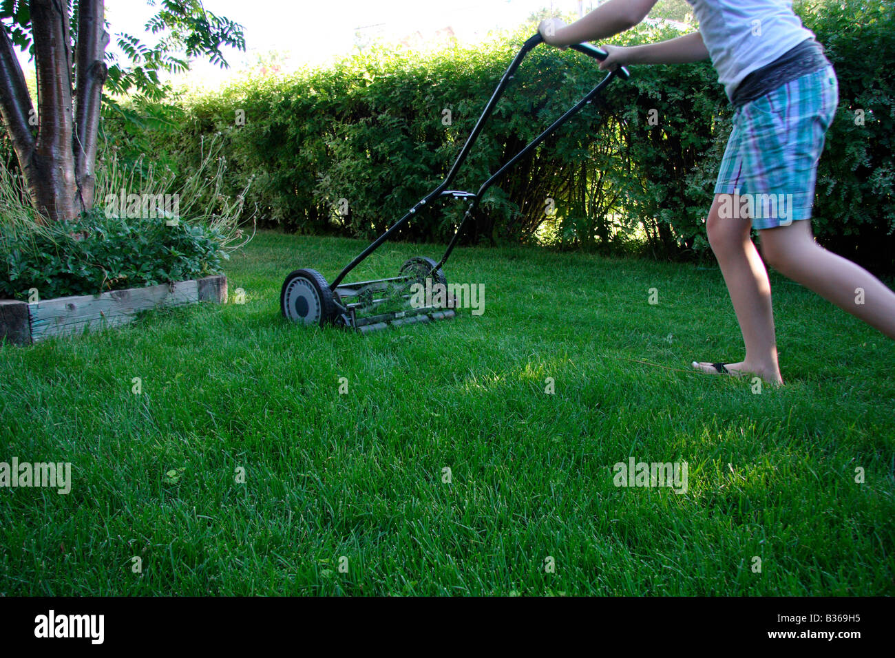 A young teenage girl mows the lawn using a push mower Stock Photo - Alamy