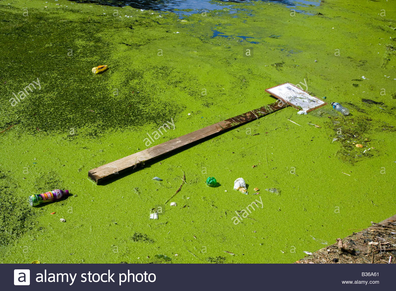 Rubbish In River Stock Photos & Rubbish In River Stock Images - Alamy