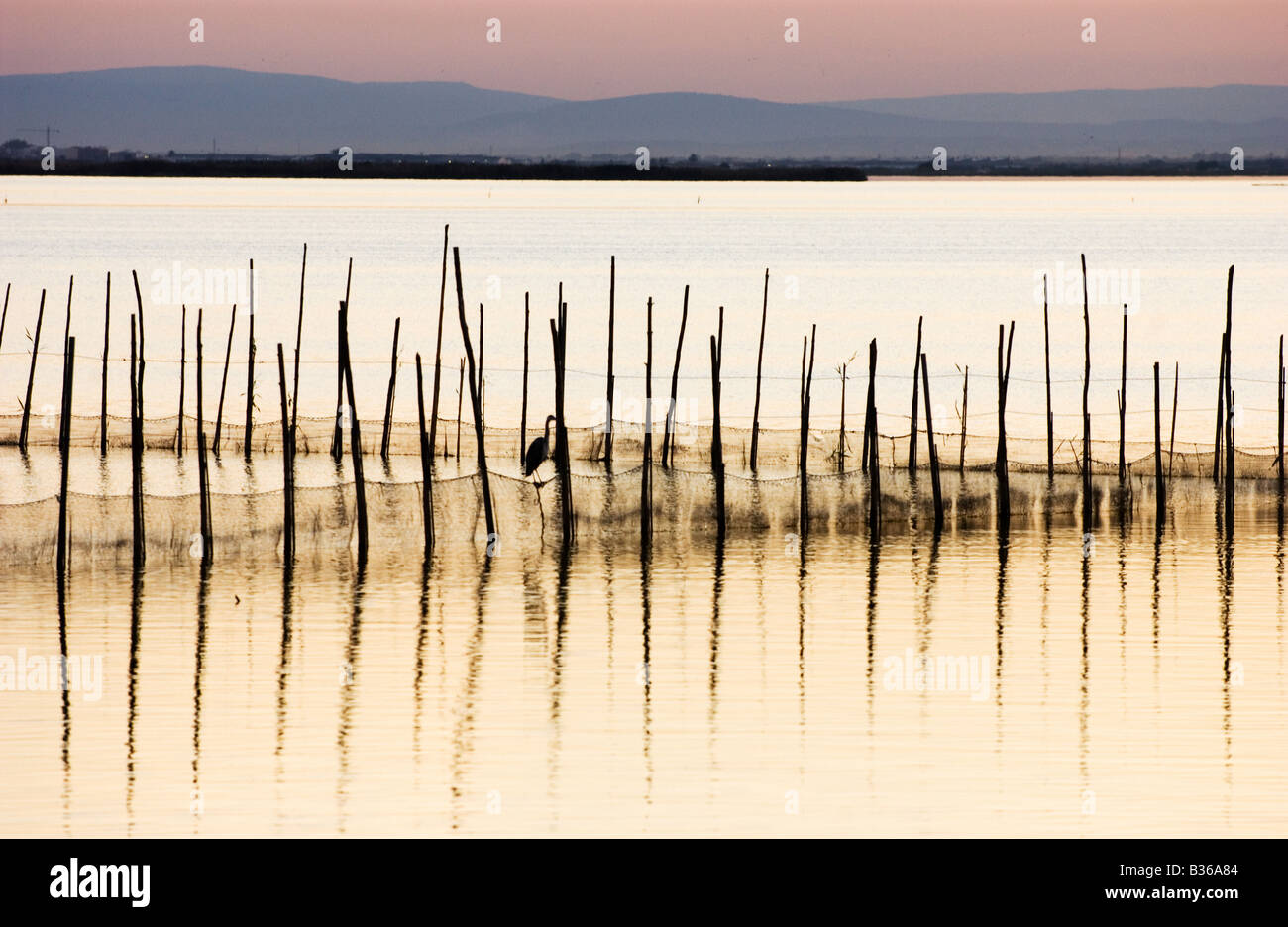 Albufera lake at dusk near Valencia Spain Stock Photo - Alamy