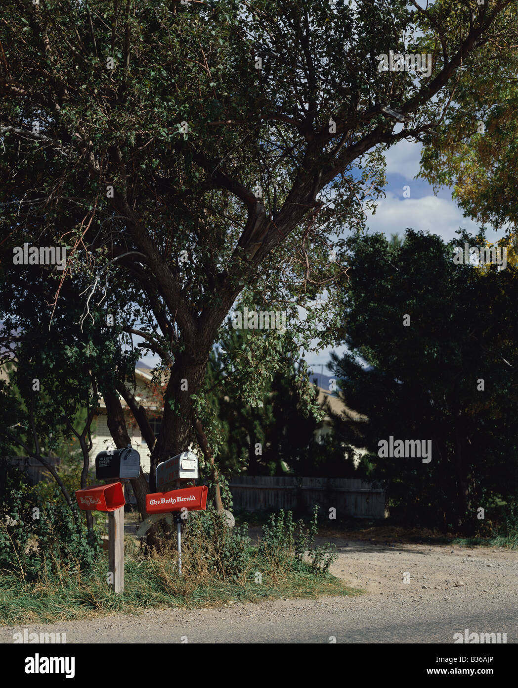 Mailboxes under tree Stock Photo - Alamy