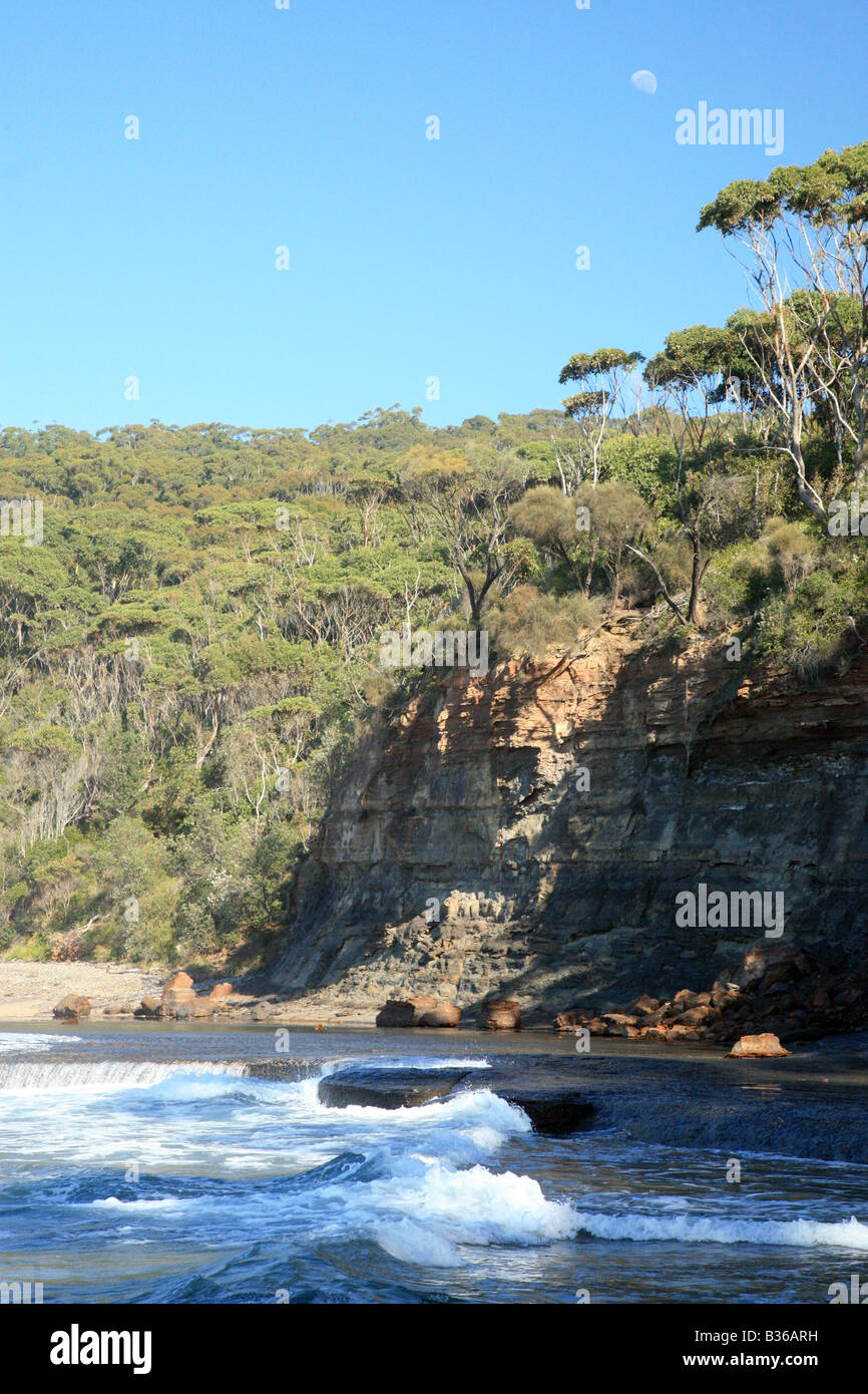 Gnarled gum tree new south hi-res stock photography and images - Alamy