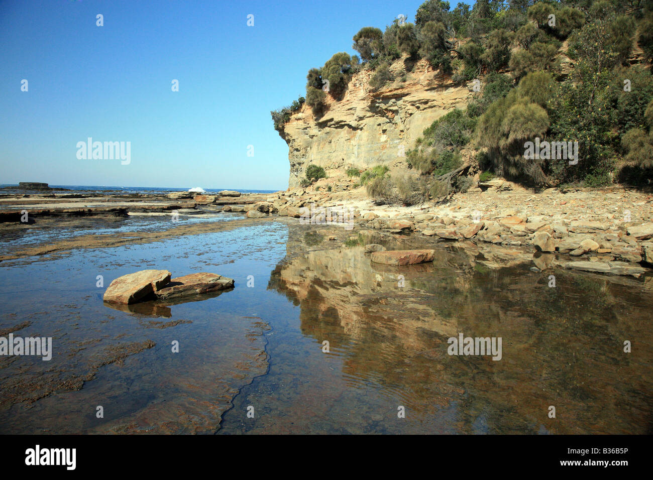 Gnarled gum tree new south hi-res stock photography and images - Alamy