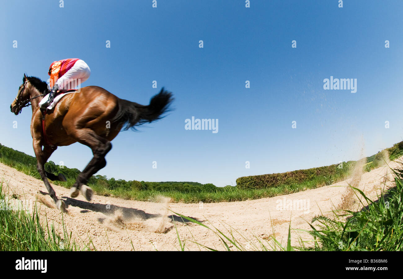 Galloping horse hi-res stock photography and images - Alamy