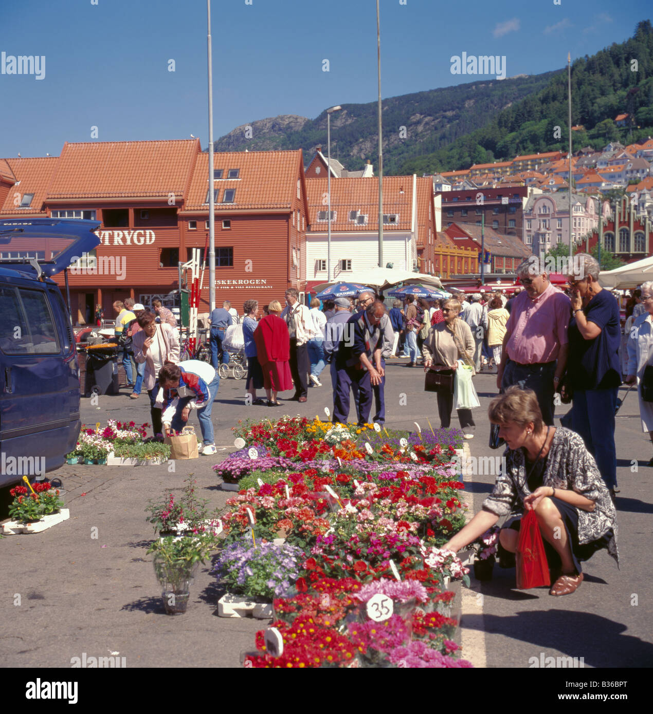 Flower stall, Torget, Bergen, Hordaland, Norway Stock Photo - Alamy