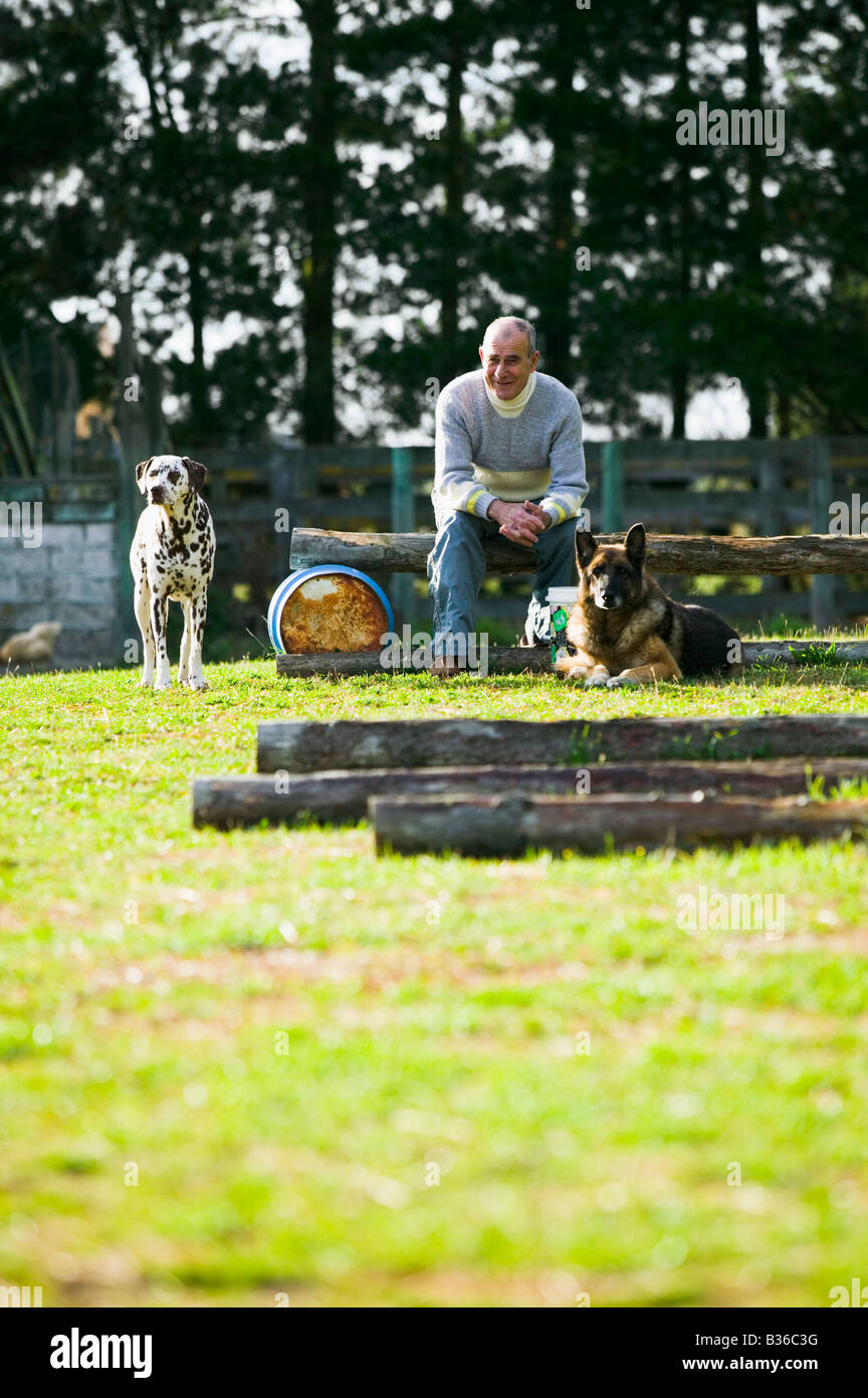 Log sitting hi-res stock photography and images - Alamy