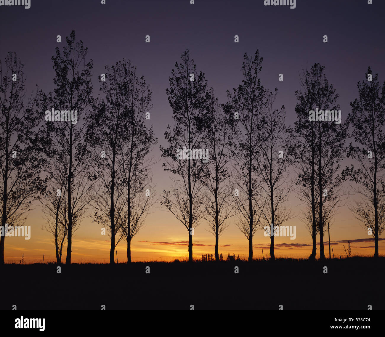 Brookings south dakota hi-res stock photography and images - Alamy