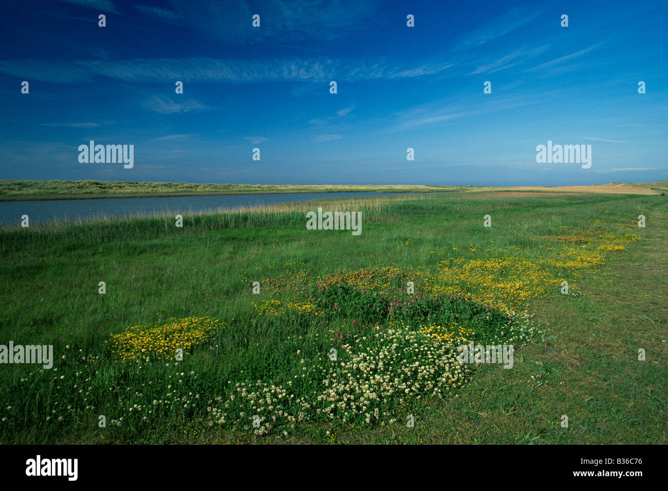 Gronant nature reserve hi-res stock photography and images - Alamy