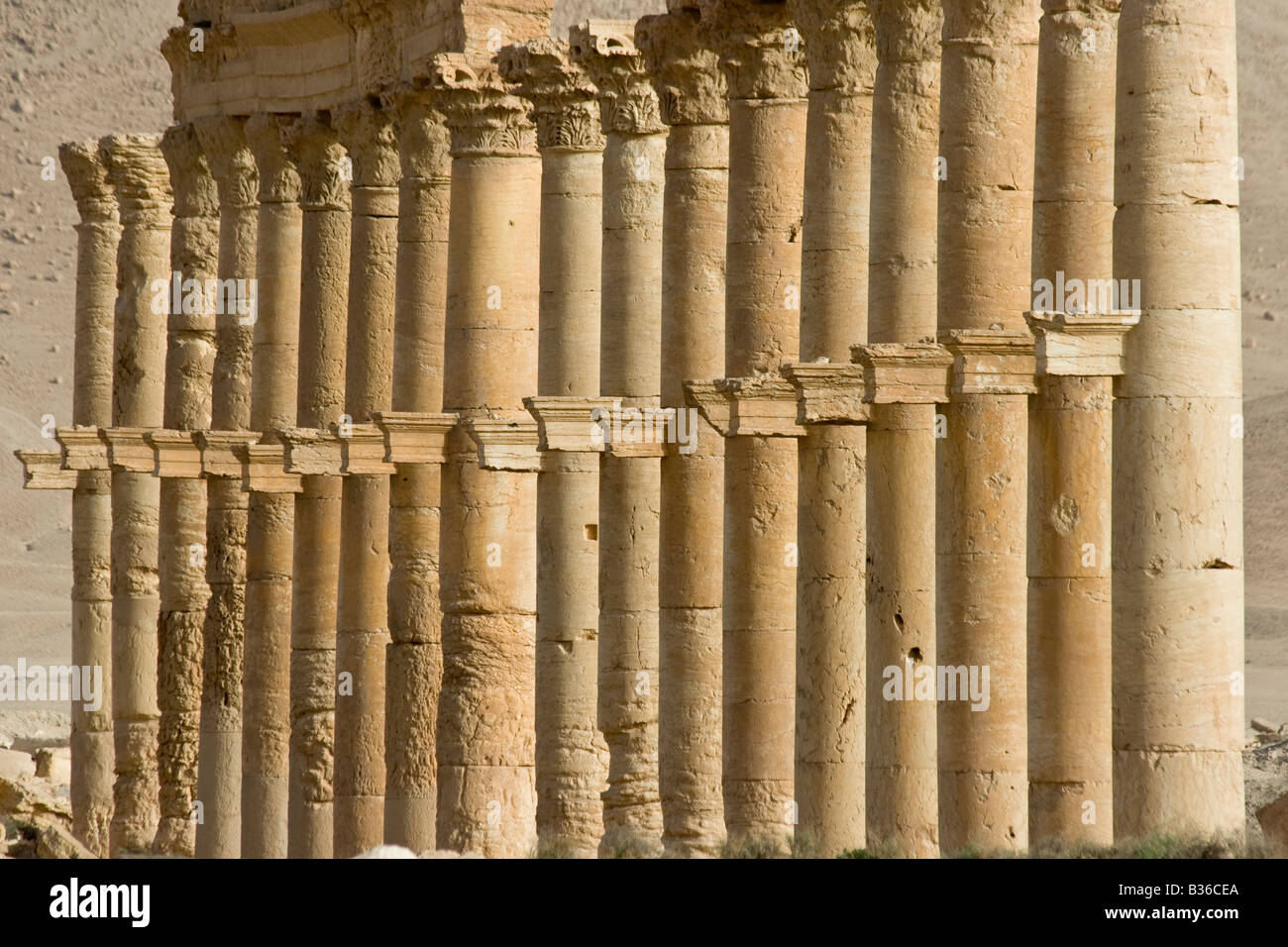 Roman Collonade at the Ruins of Palmyra in Syria Stock Photo - Alamy