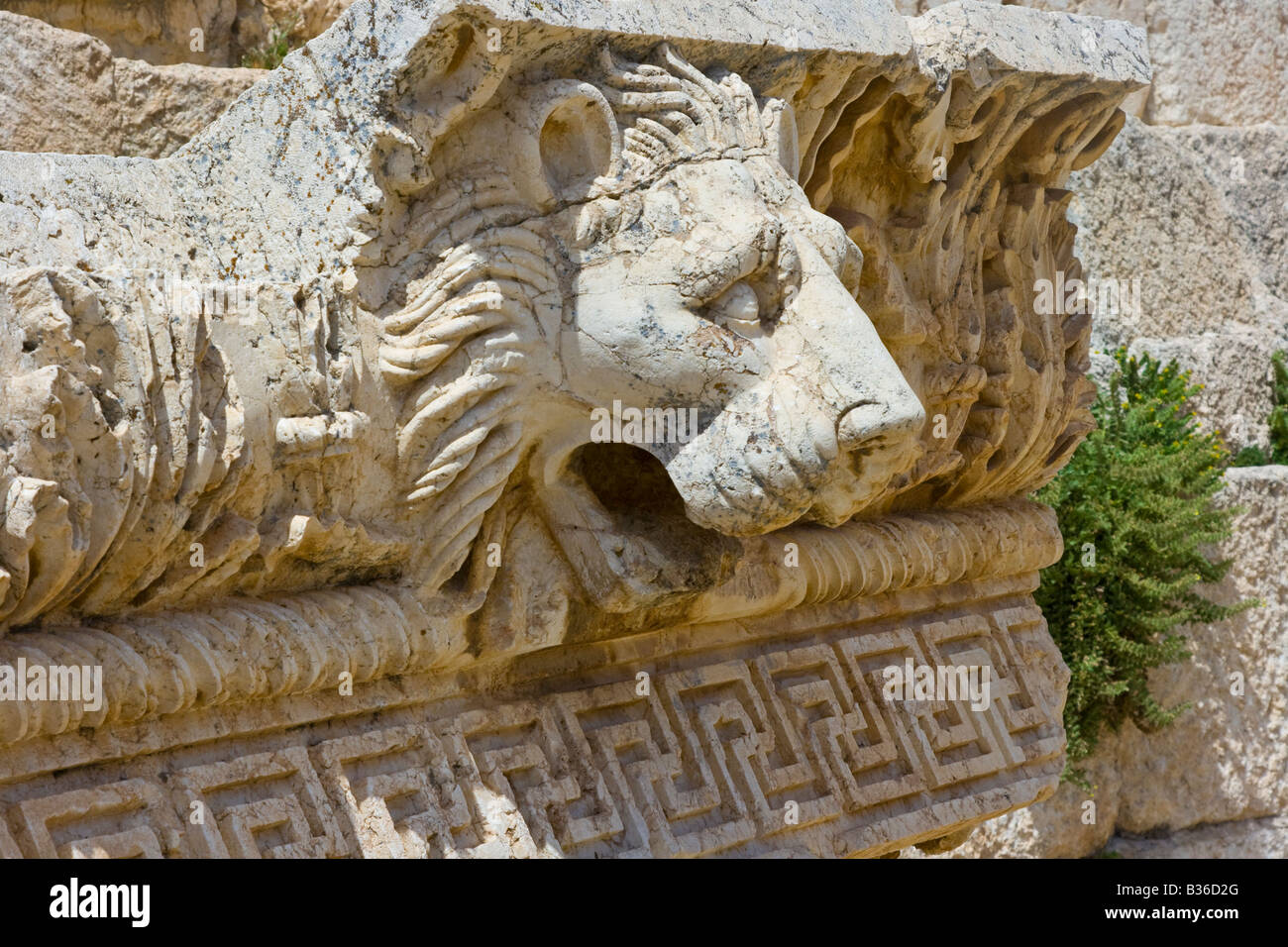 Carved Stone Lion Detail from the Temple of Jupiter in Baalbek Lebanon ...