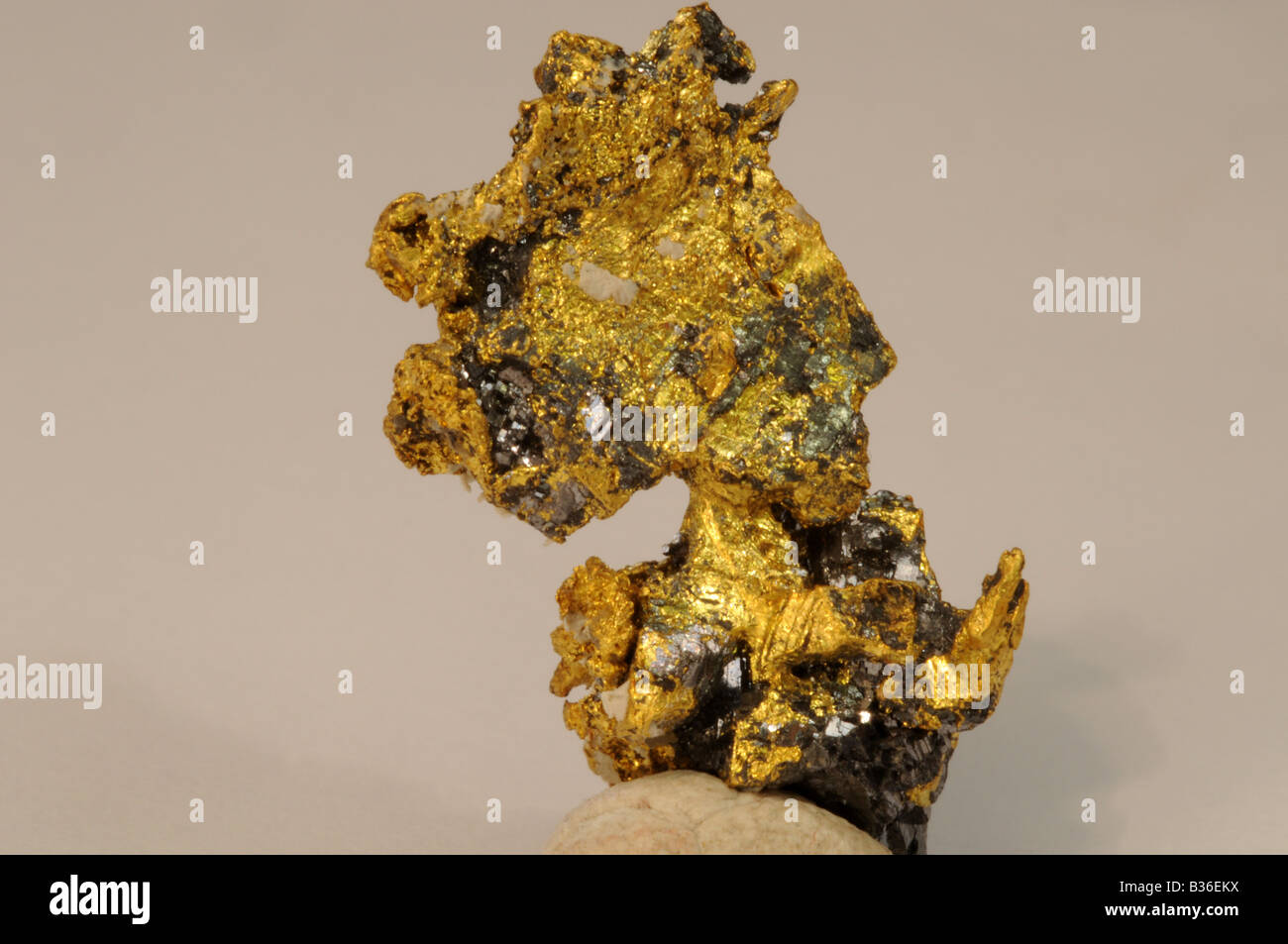 Gold Specimen Stock Photos & Gold Specimen Stock Images - Alamy