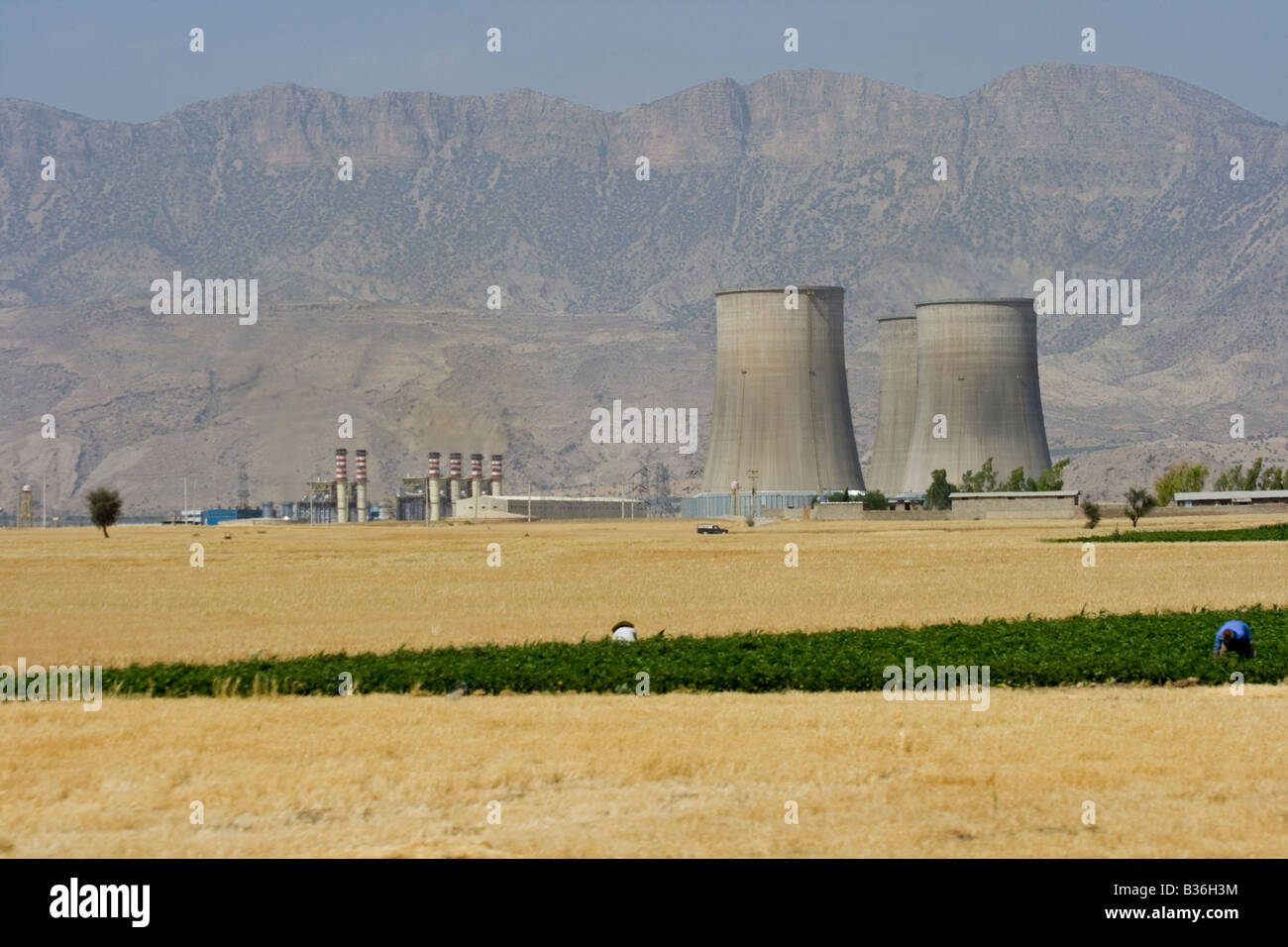 Iran plant hi-res stock photography and images - Alamy