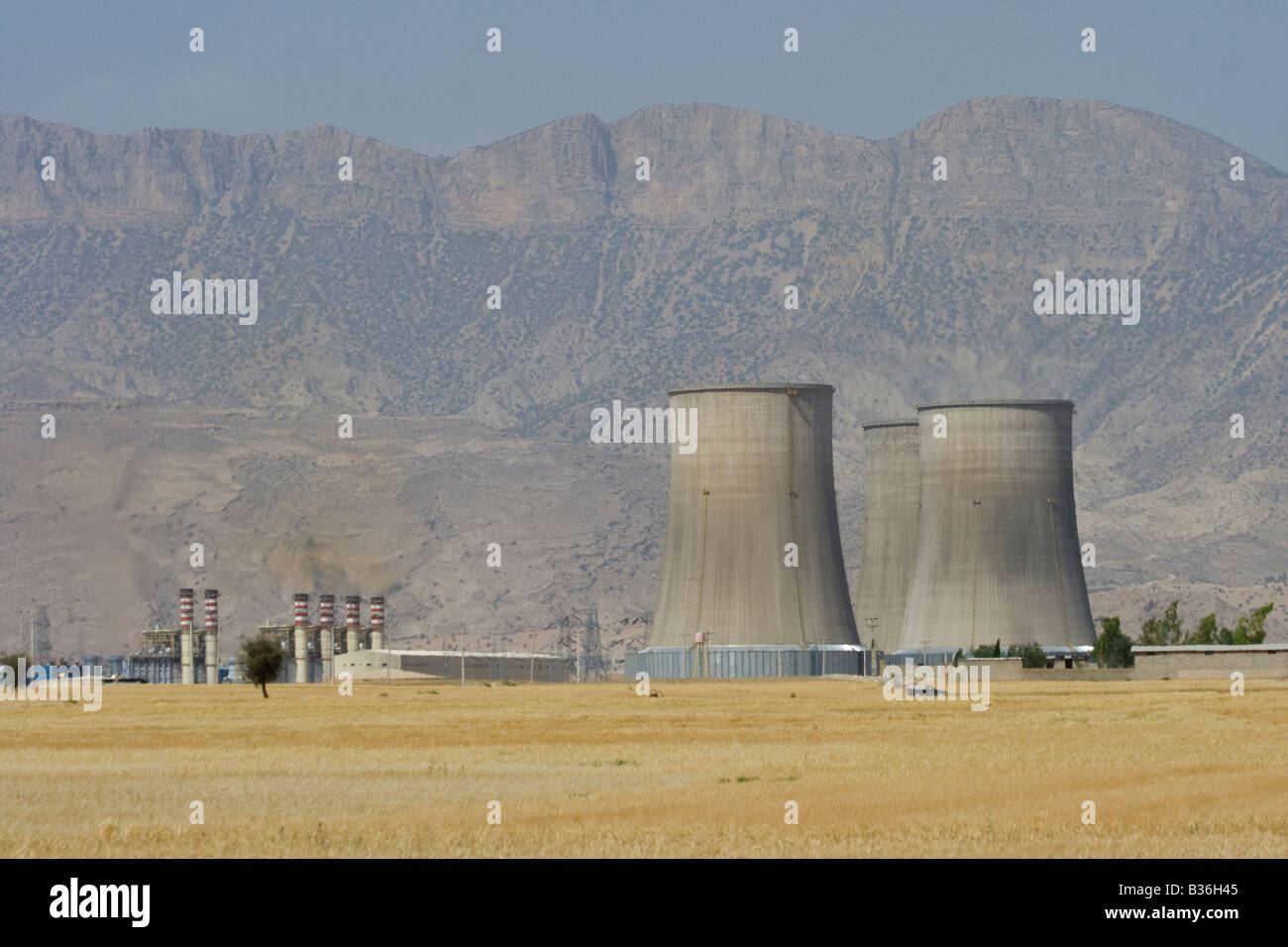 Iran plant hi-res stock photography and images - Alamy