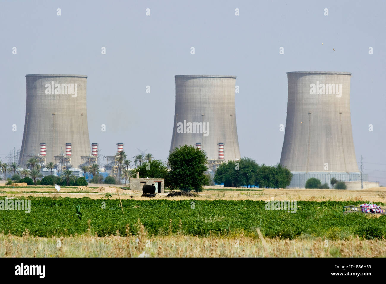 Iran plant hi-res stock photography and images - Alamy
