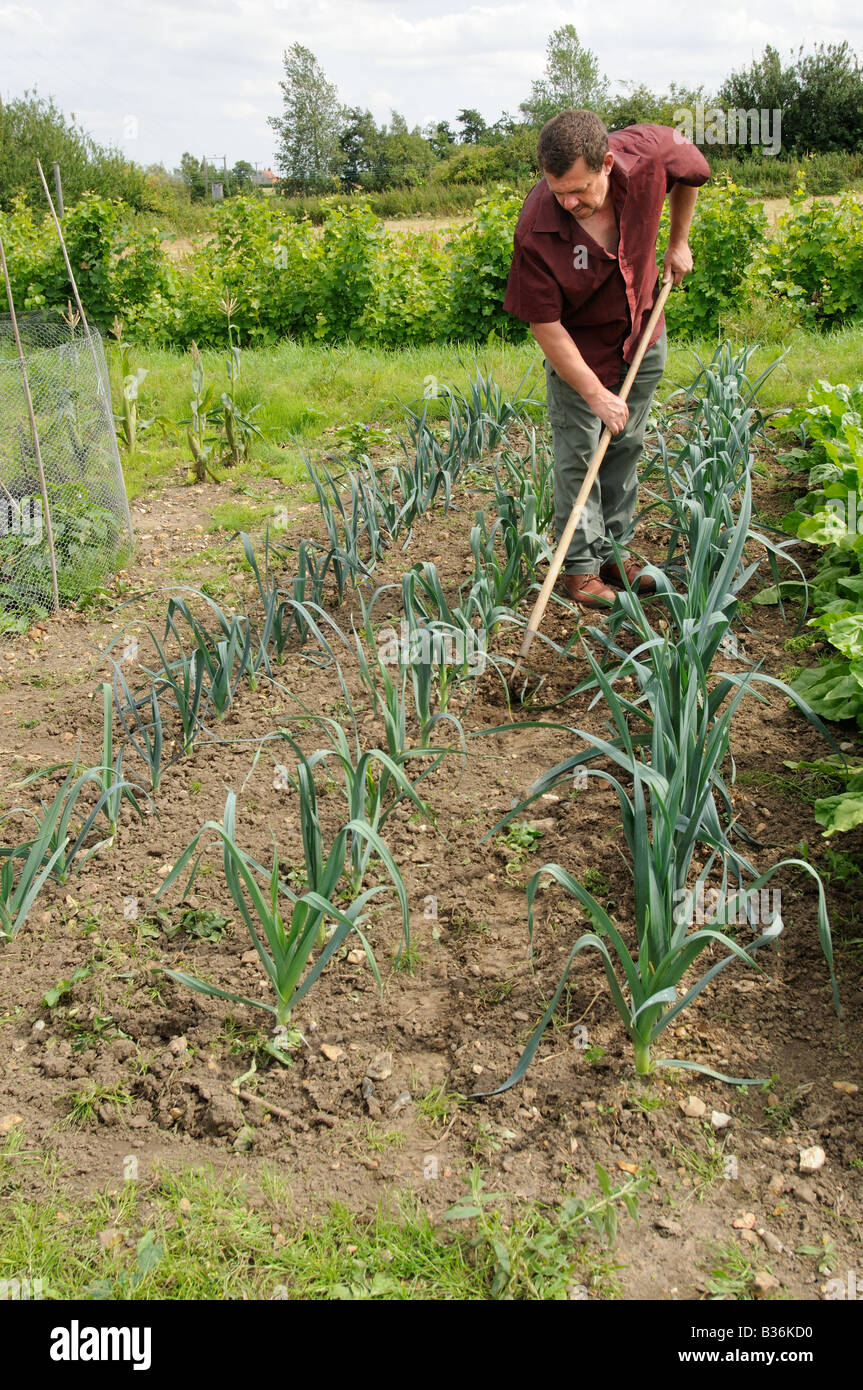 Hoeing hi-res stock photography and images - Alamy