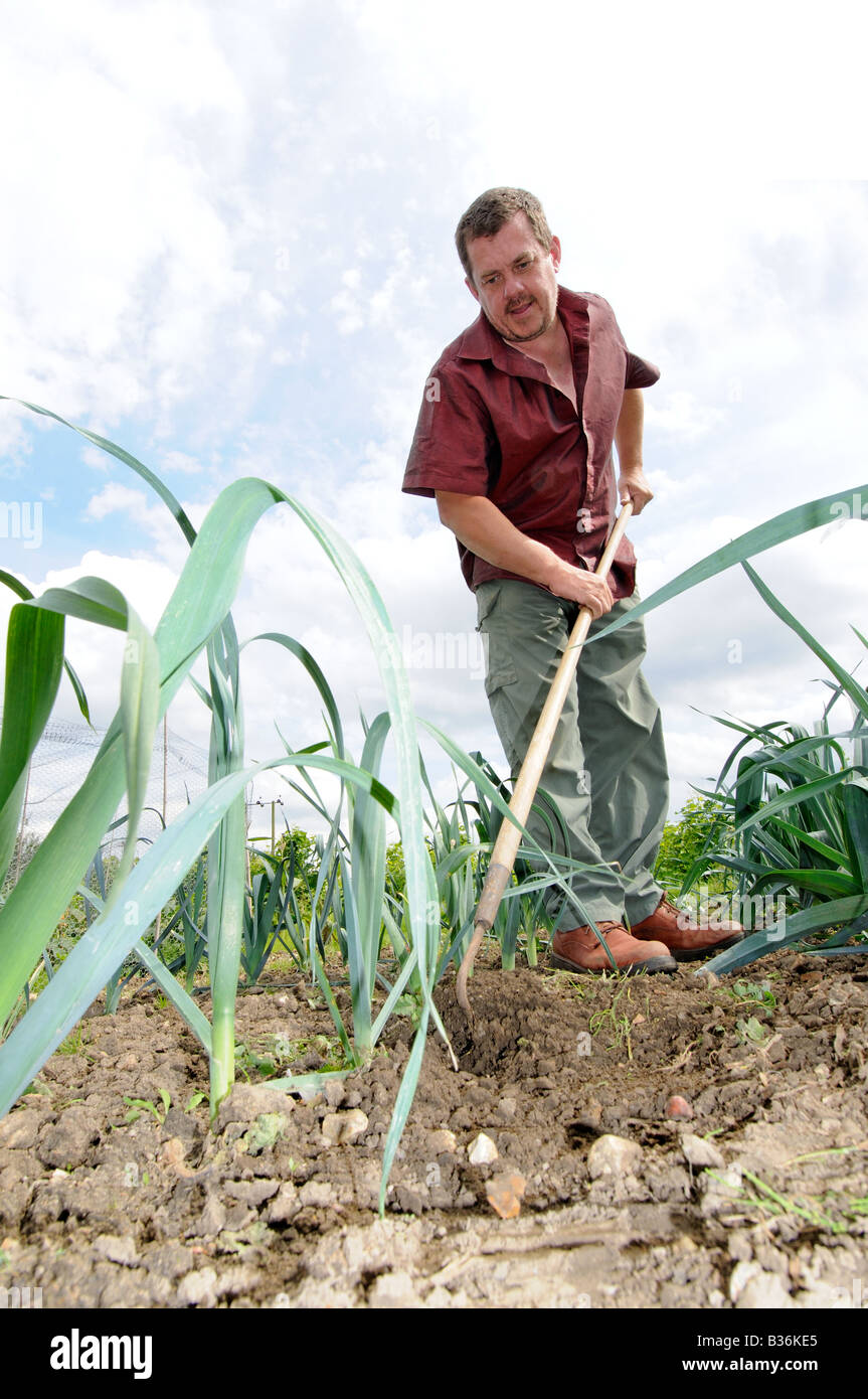 Hoeing hi-res stock photography and images - Alamy