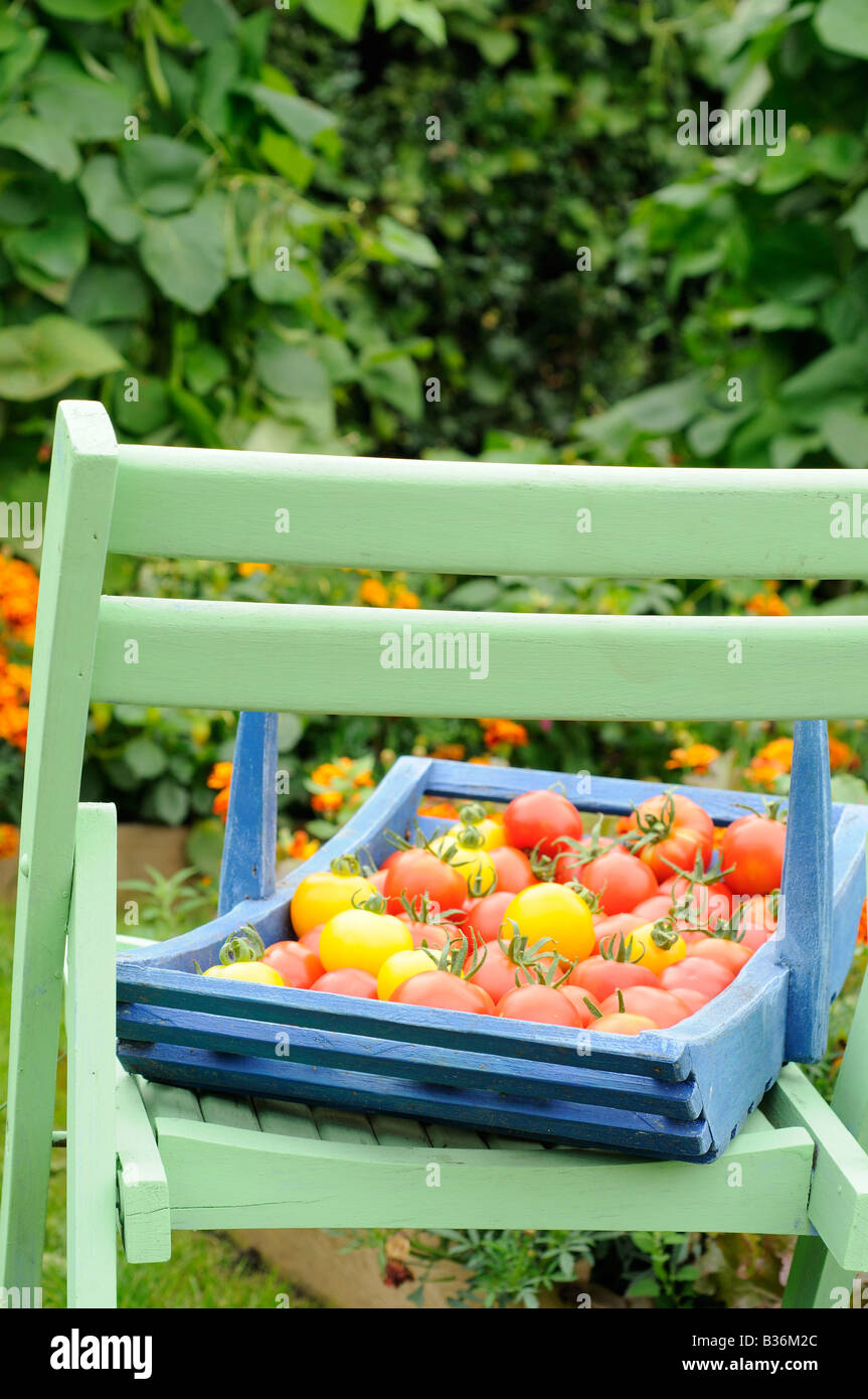 Kitchen garden uk hi-res stock photography and images - Alamy