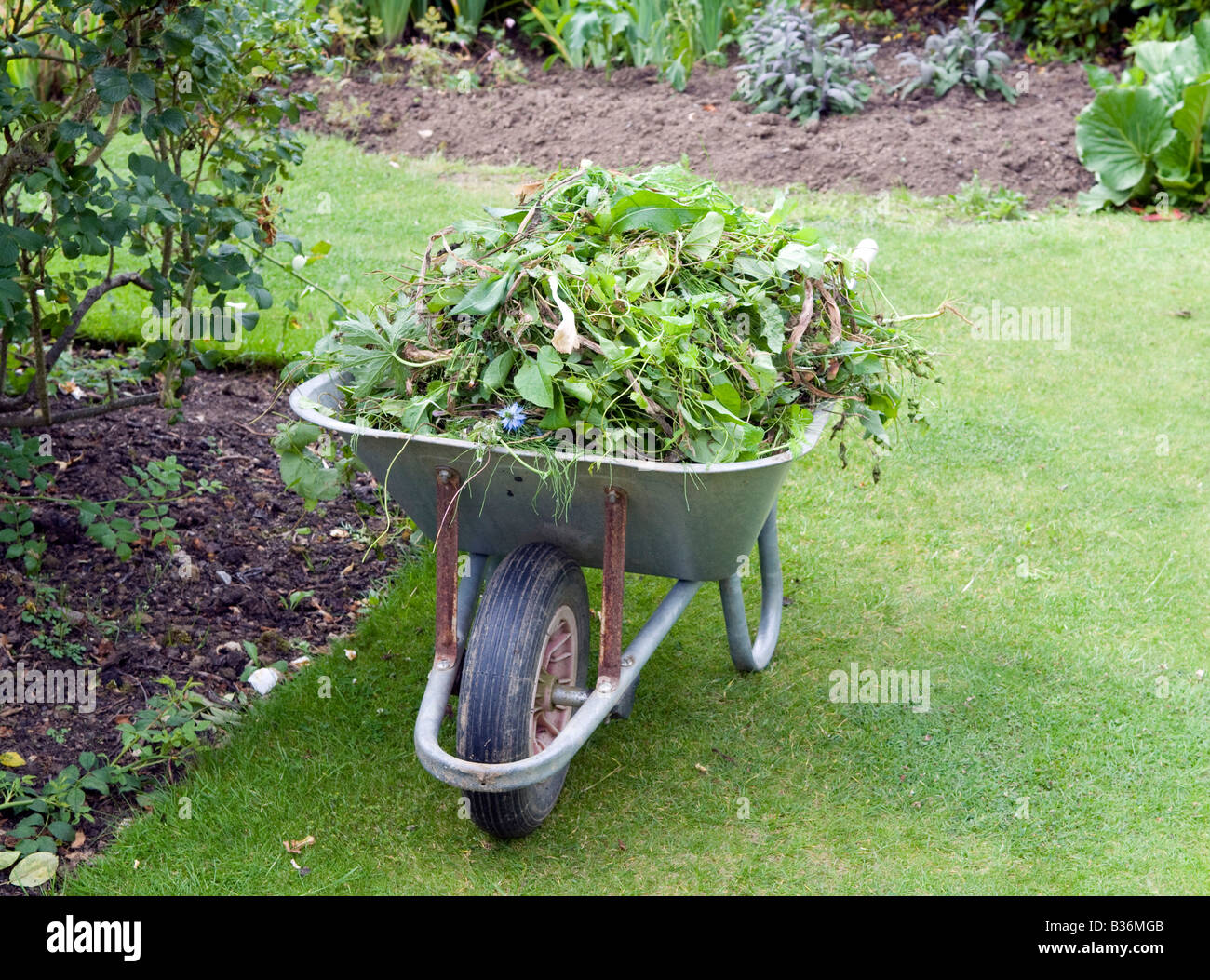 Fully Loaded Garden Wheelbarrow Stock Photo - Alamy