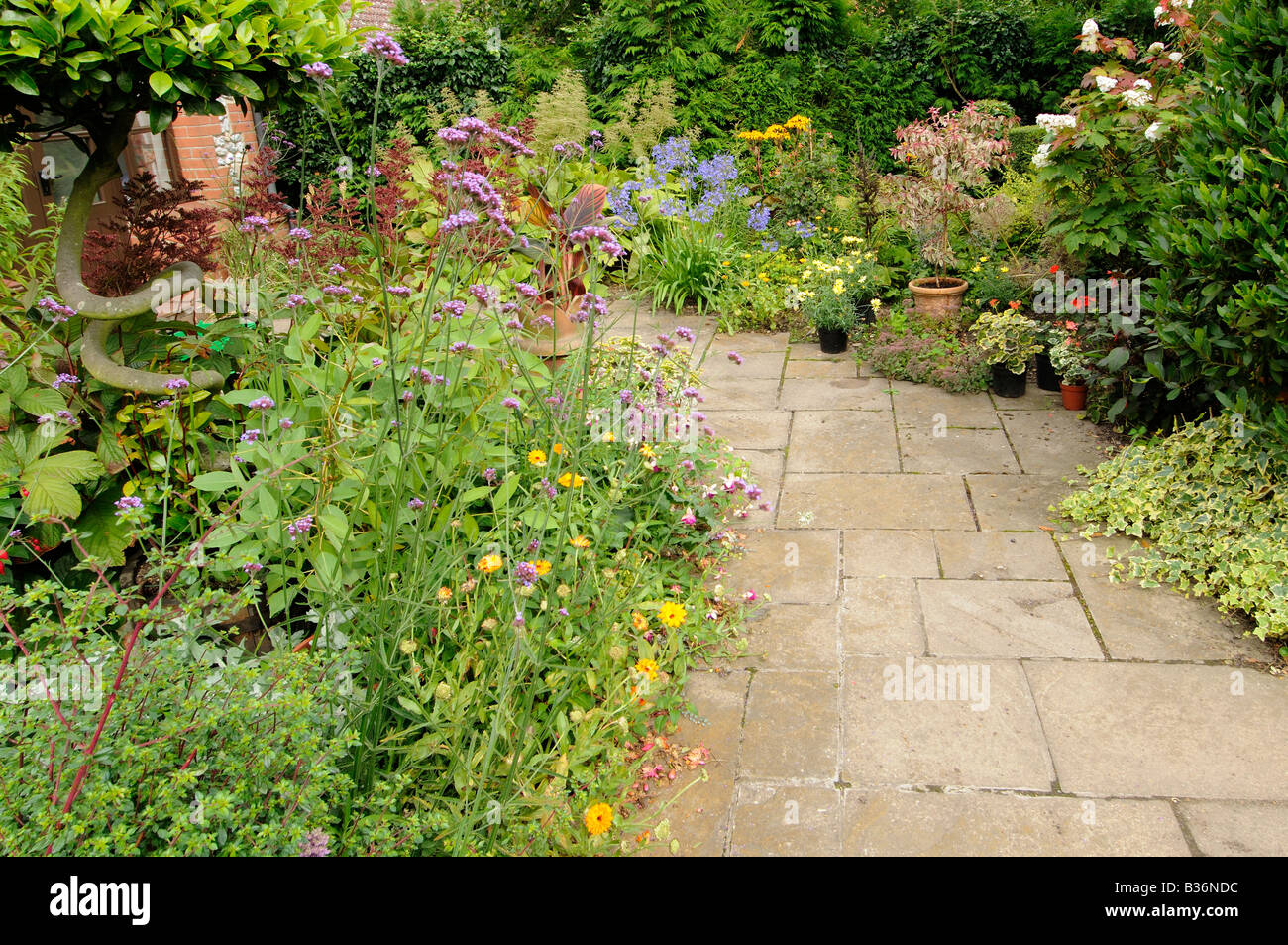 Summer courtyard with mixed flowering and herbaceous borders Norfolk UK ...