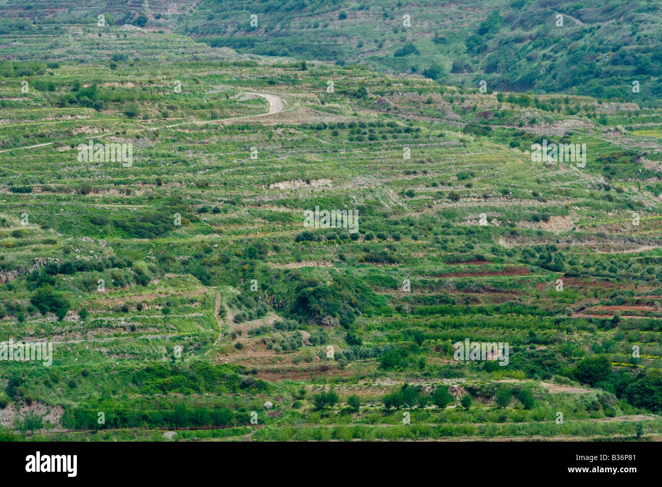 Terrace farming agriculture syria hi-res stock photography and images ...