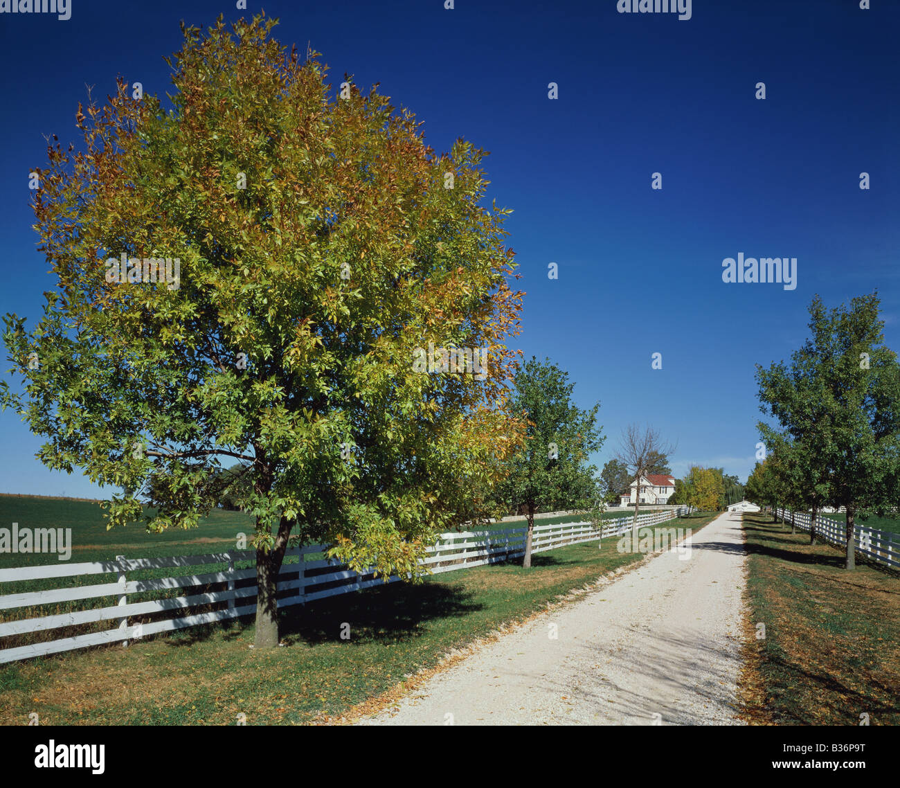 White road hi-res stock photography and images - Alamy