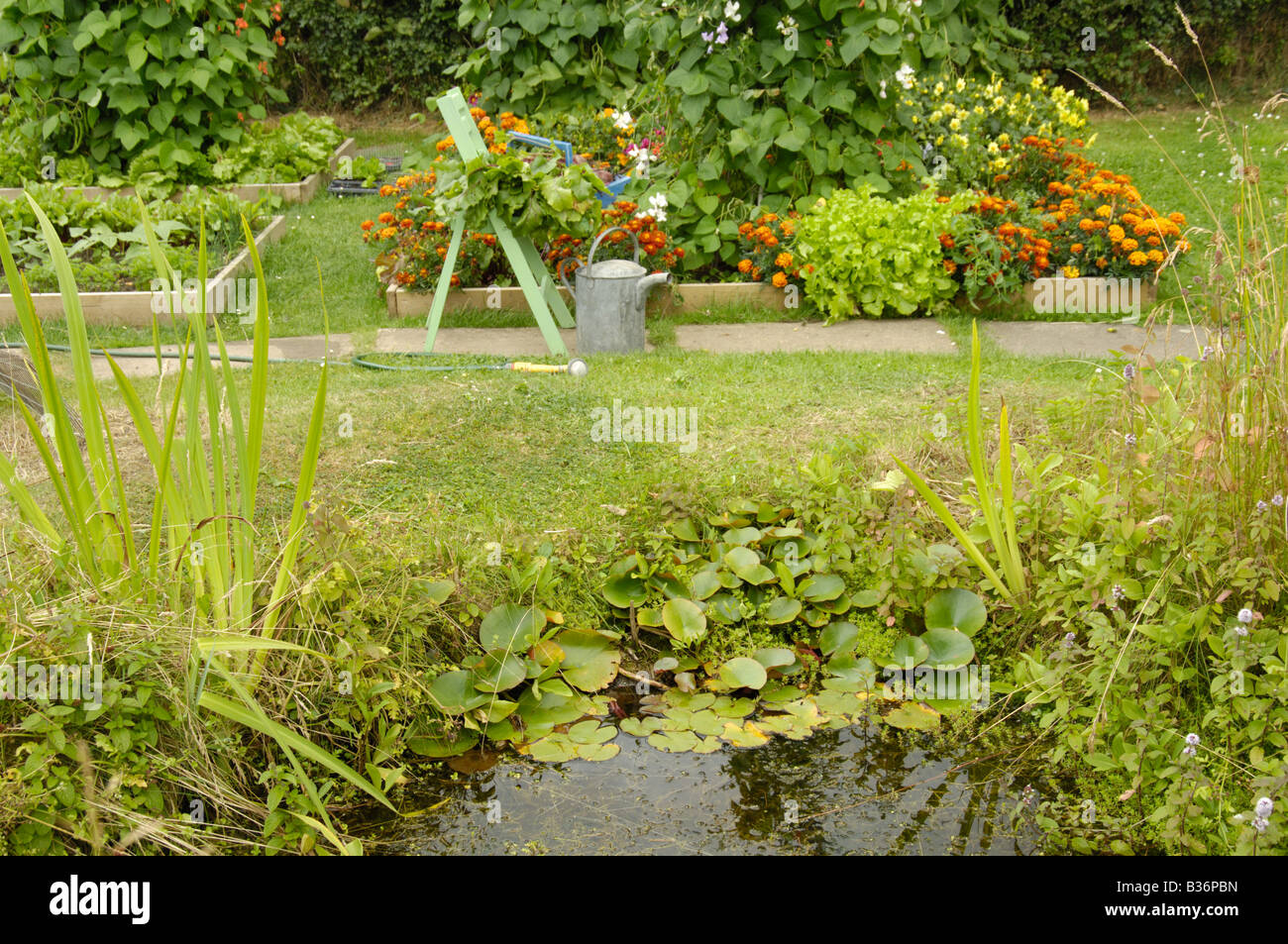 Small Pond Vegetable Garden How To Build A Small Pond For The Garden