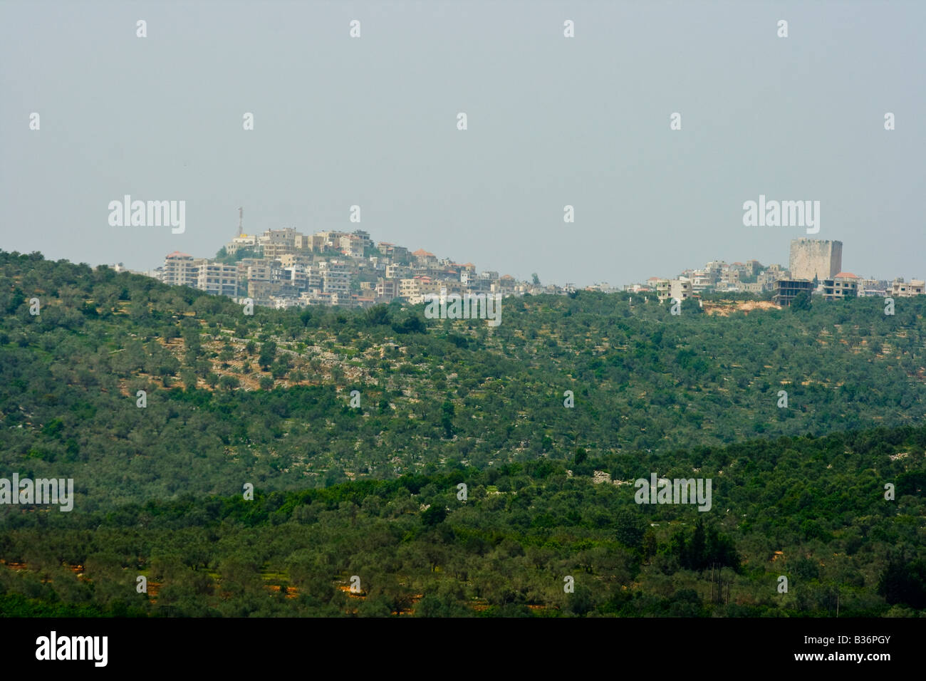 Chastel Blanc Crusader Castle in Safita Syria Stock Photo - Alamy