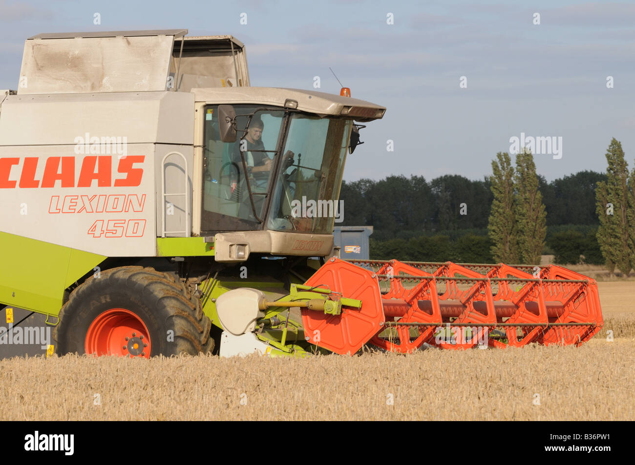Claas Lexion 450 Combine Harvester cutting wheat in kent england Stock ...