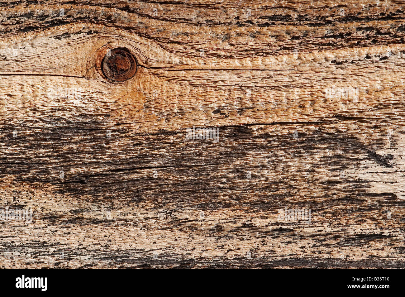 Detail of the wood texture with nob - abstract Stock Photo - Alamy