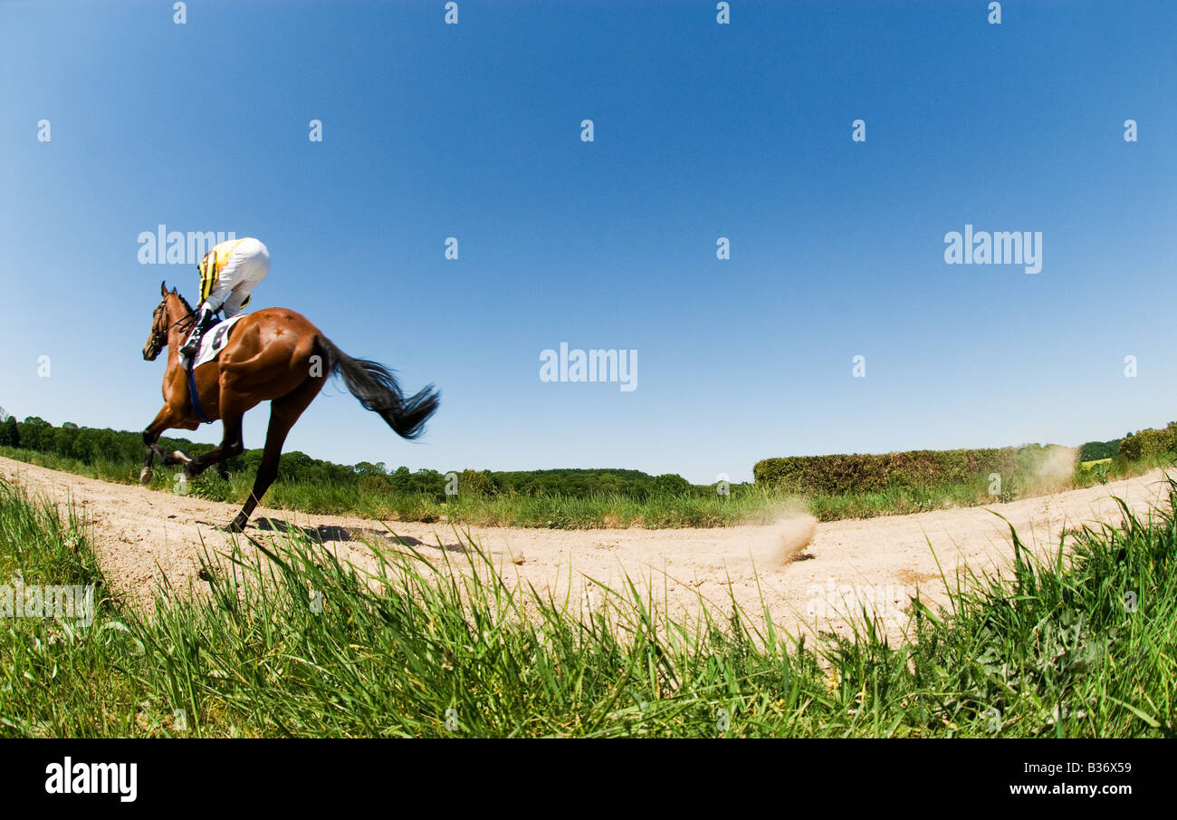 Galloping Horse Stock Photos & Galloping Horse Stock Images - Alamy